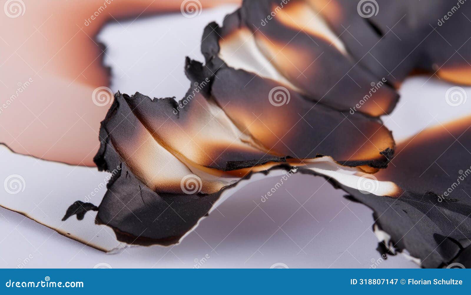 Charred Structure in a Document Stock Illustration - Illustration of ...