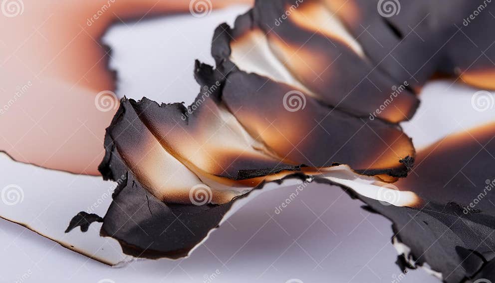 Charred Structure in a Document Stock Illustration - Illustration of ...