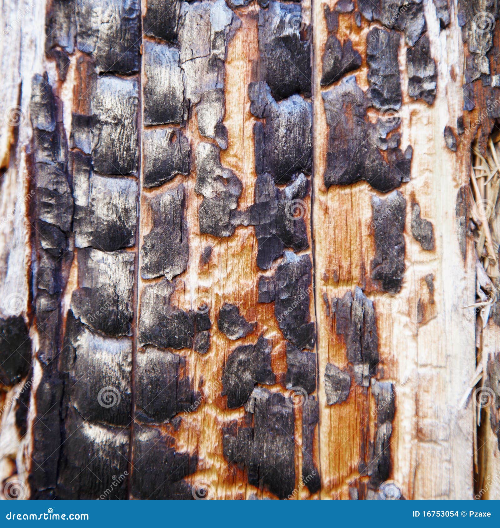 Charred And Fire In Dark Royalty-Free Stock Photography | CartoonDealer ...