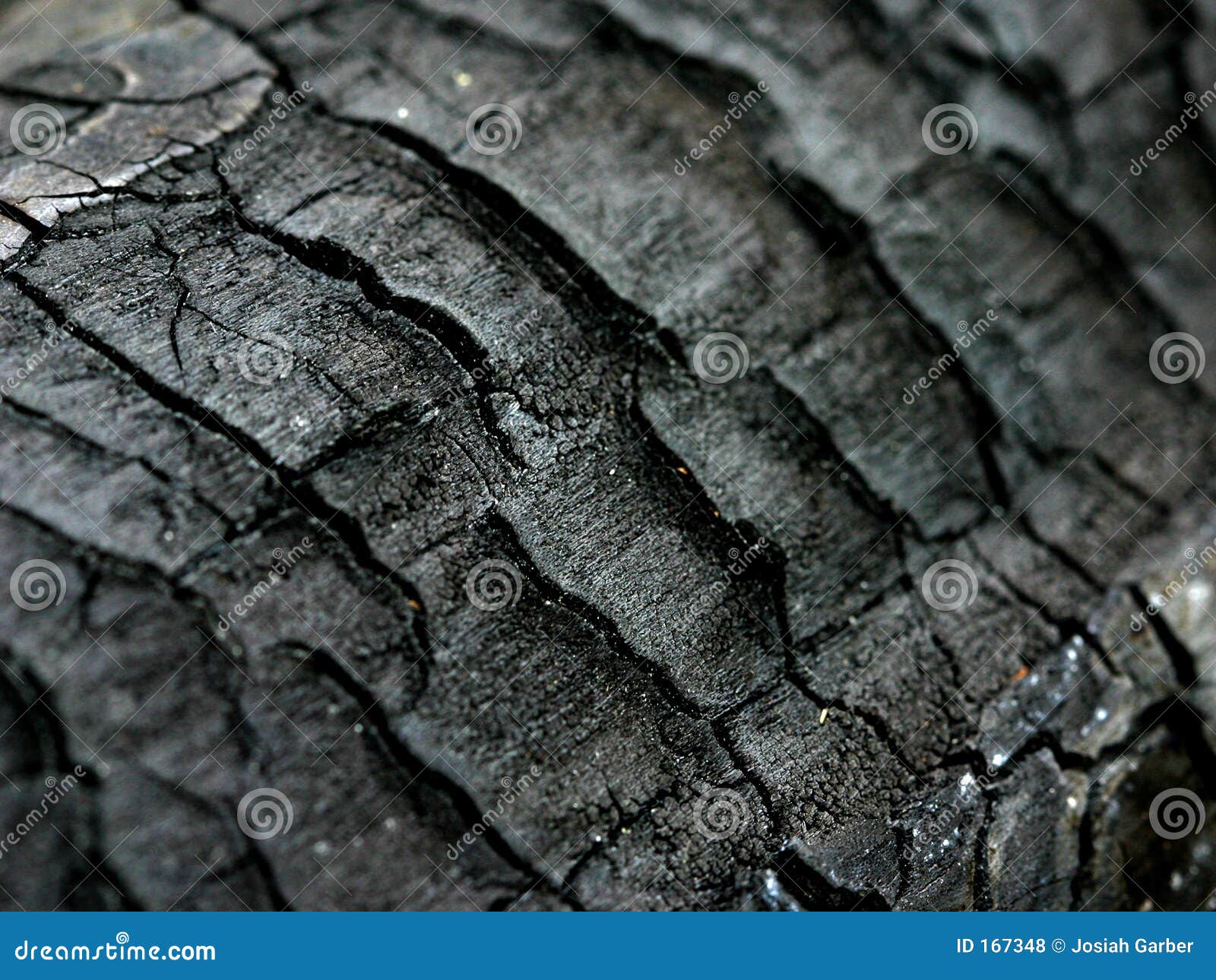 Charred Wood Texture Royalty-Free Stock Photo | CartoonDealer.com #31368339