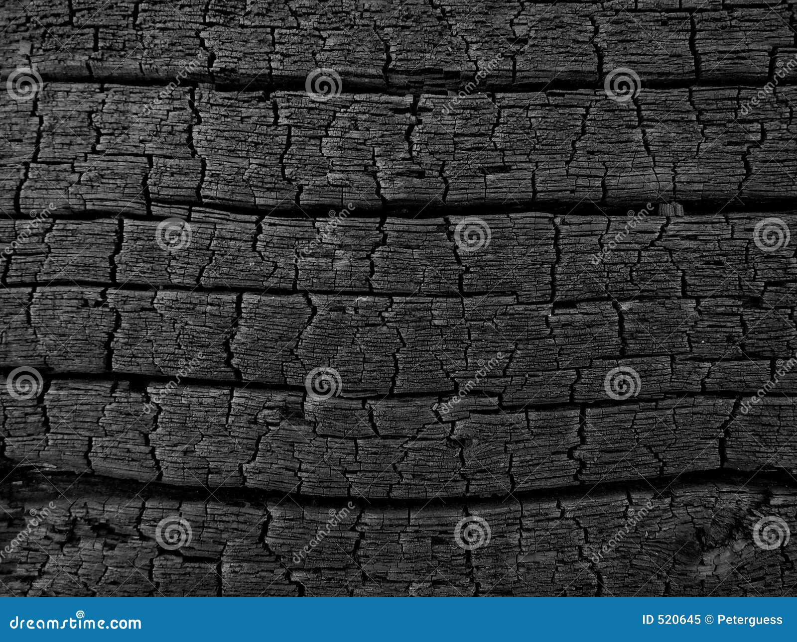 Charred Wood 2 stock image. Image of tree, charcoal, soot - 520645