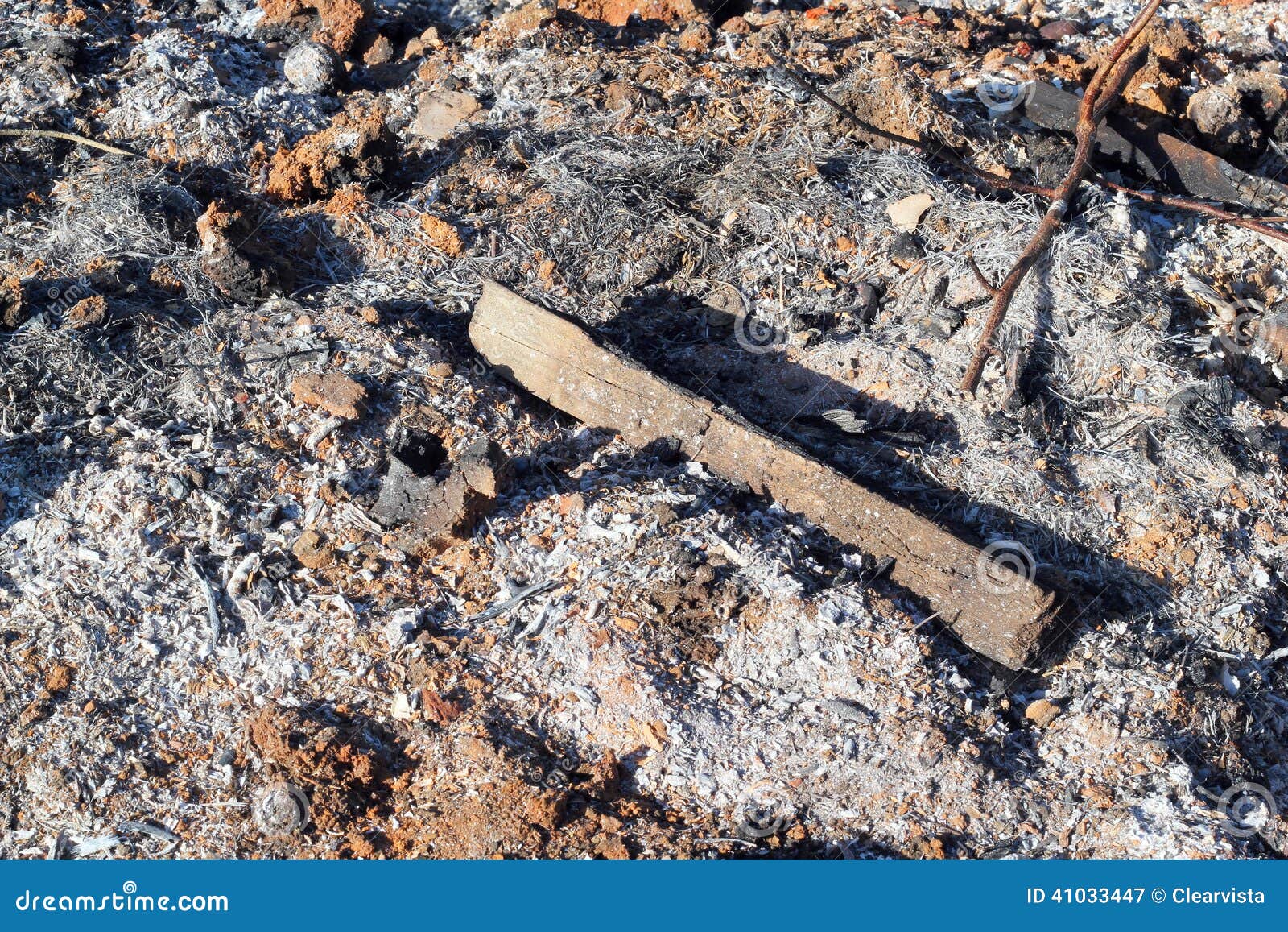 Charred wood in ash. stock image. Image of burn, remains - 41033447