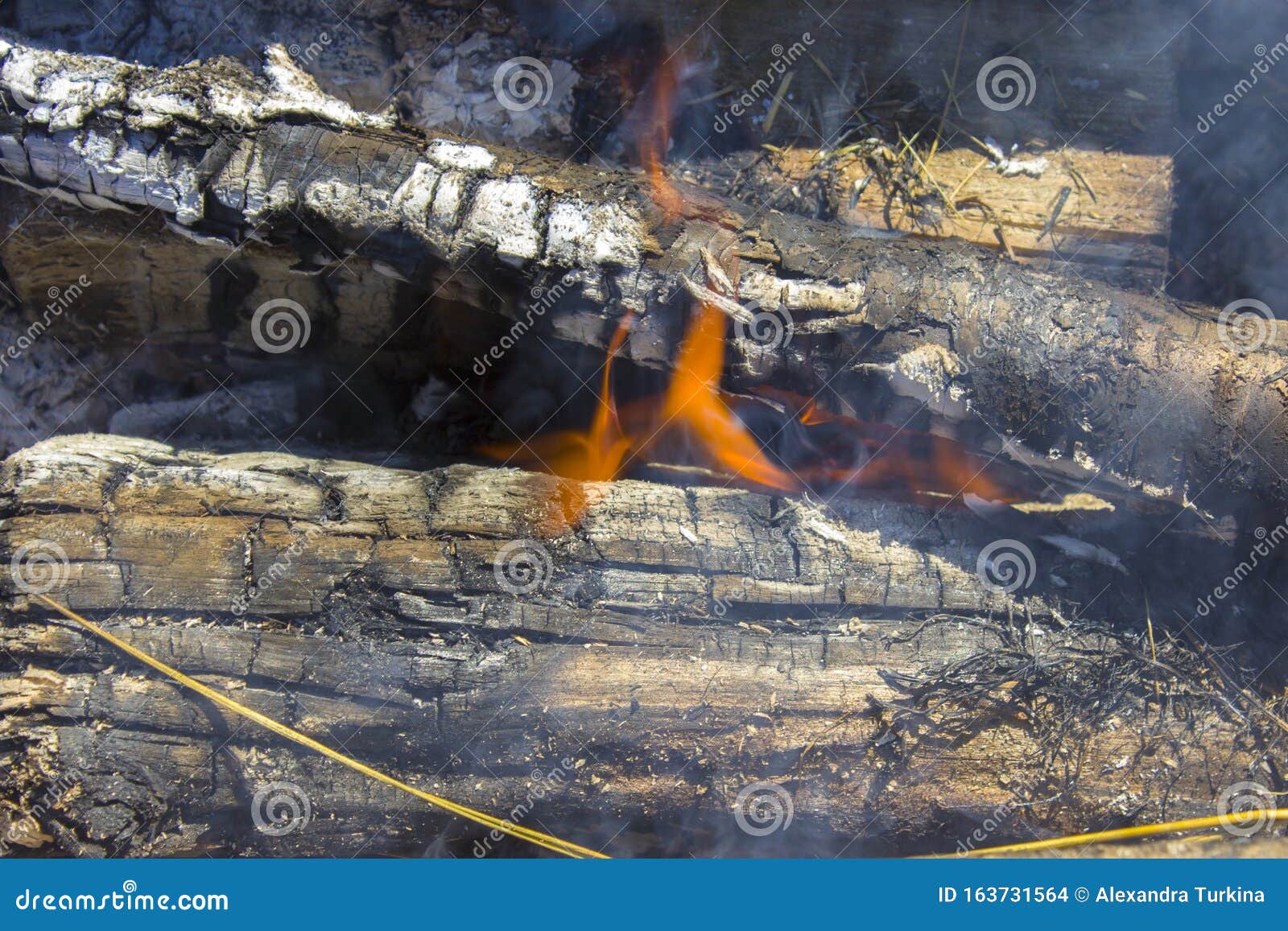 Charred Wood in the Fire is Burning Stock Photo - Image of burn, fire ...