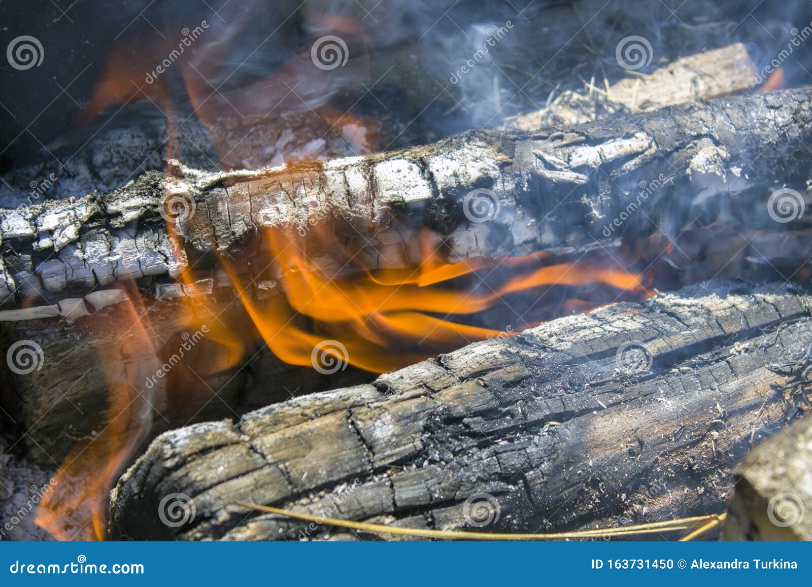 Charred Wood Logs are Burning in the Fire Stock Photo - Image of danger ...