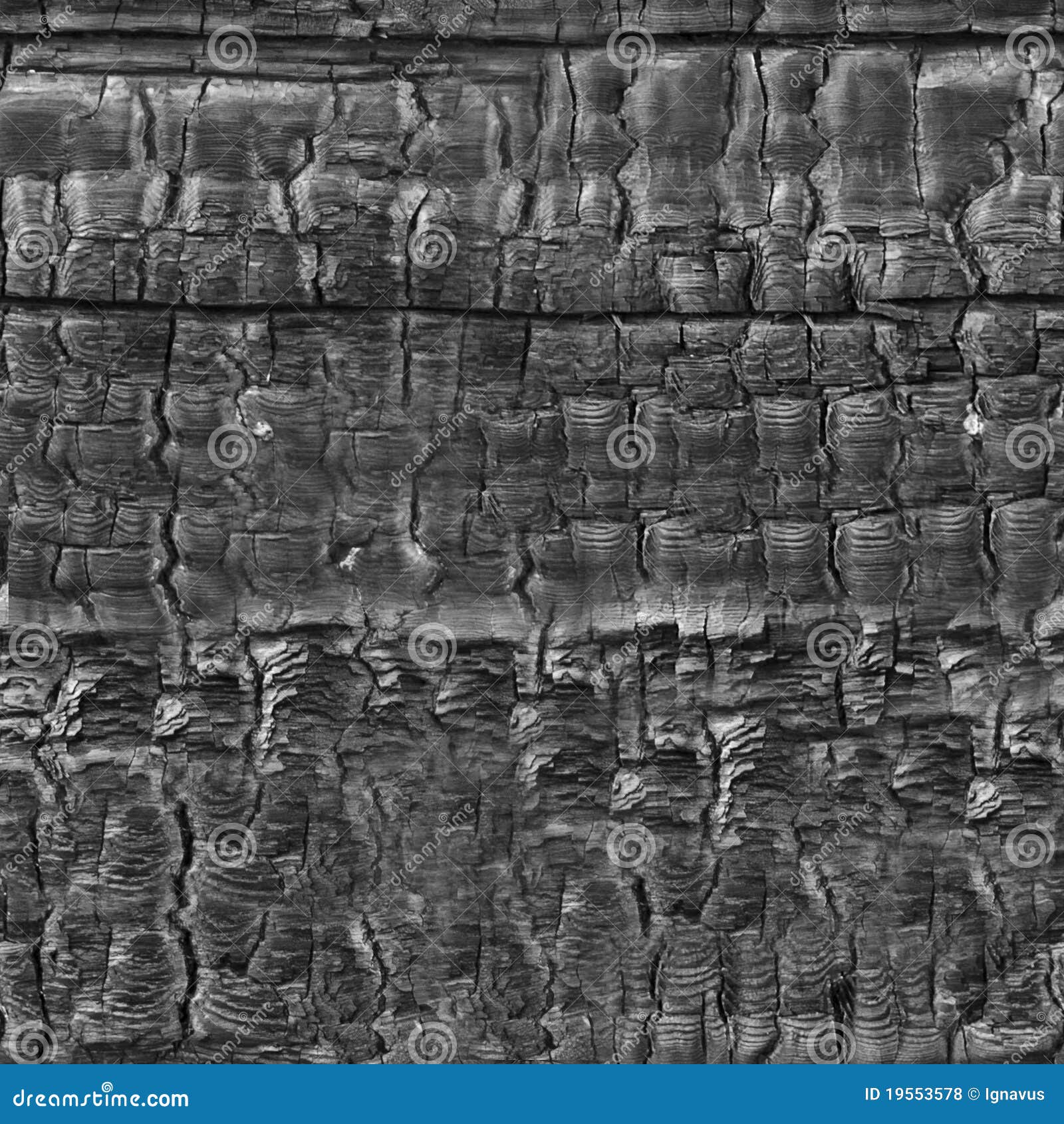 Charred Wood Seamless Pattern Stock Photo - Image of materials, black ...