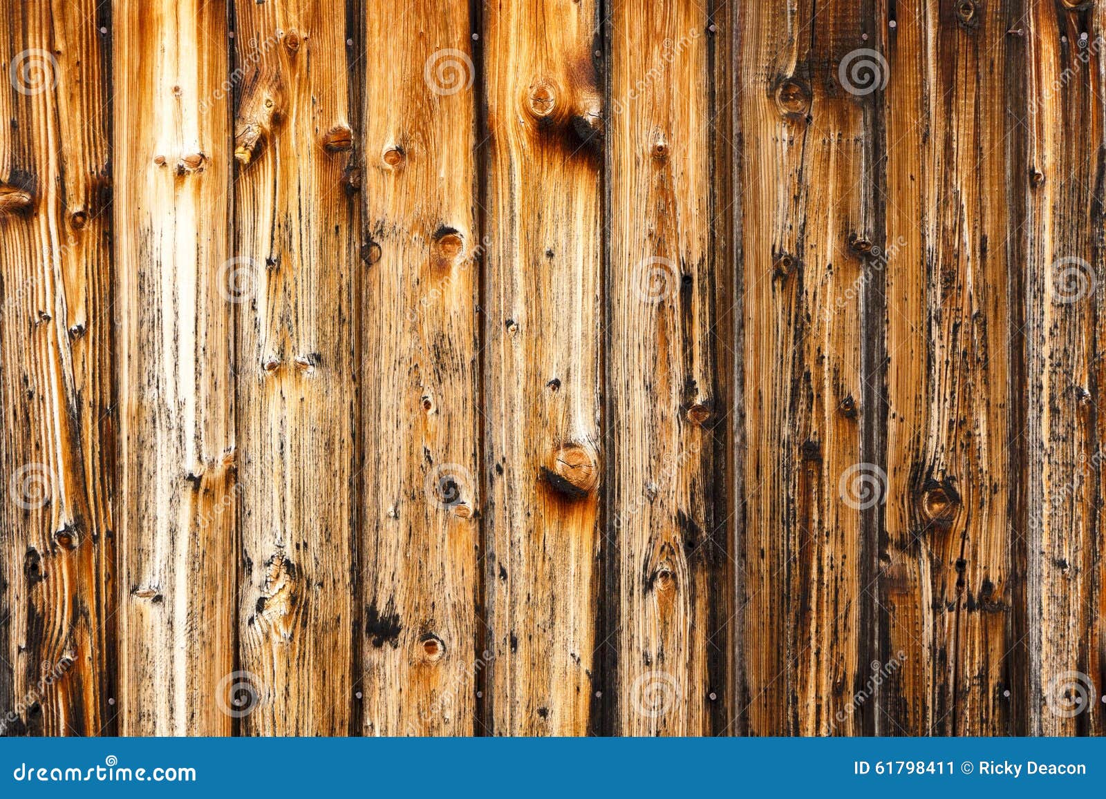 Charred Wood Texture stock image. Image of details, brown - 61798411
