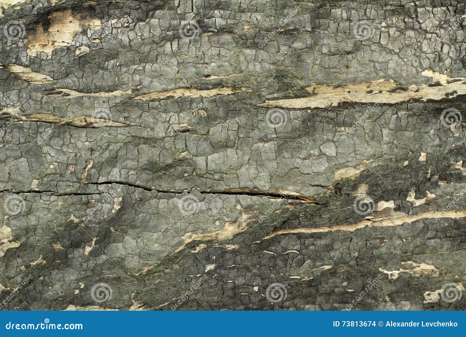 Charred Wood Texture Background Stock Photo - Image of smooth, frame ...
