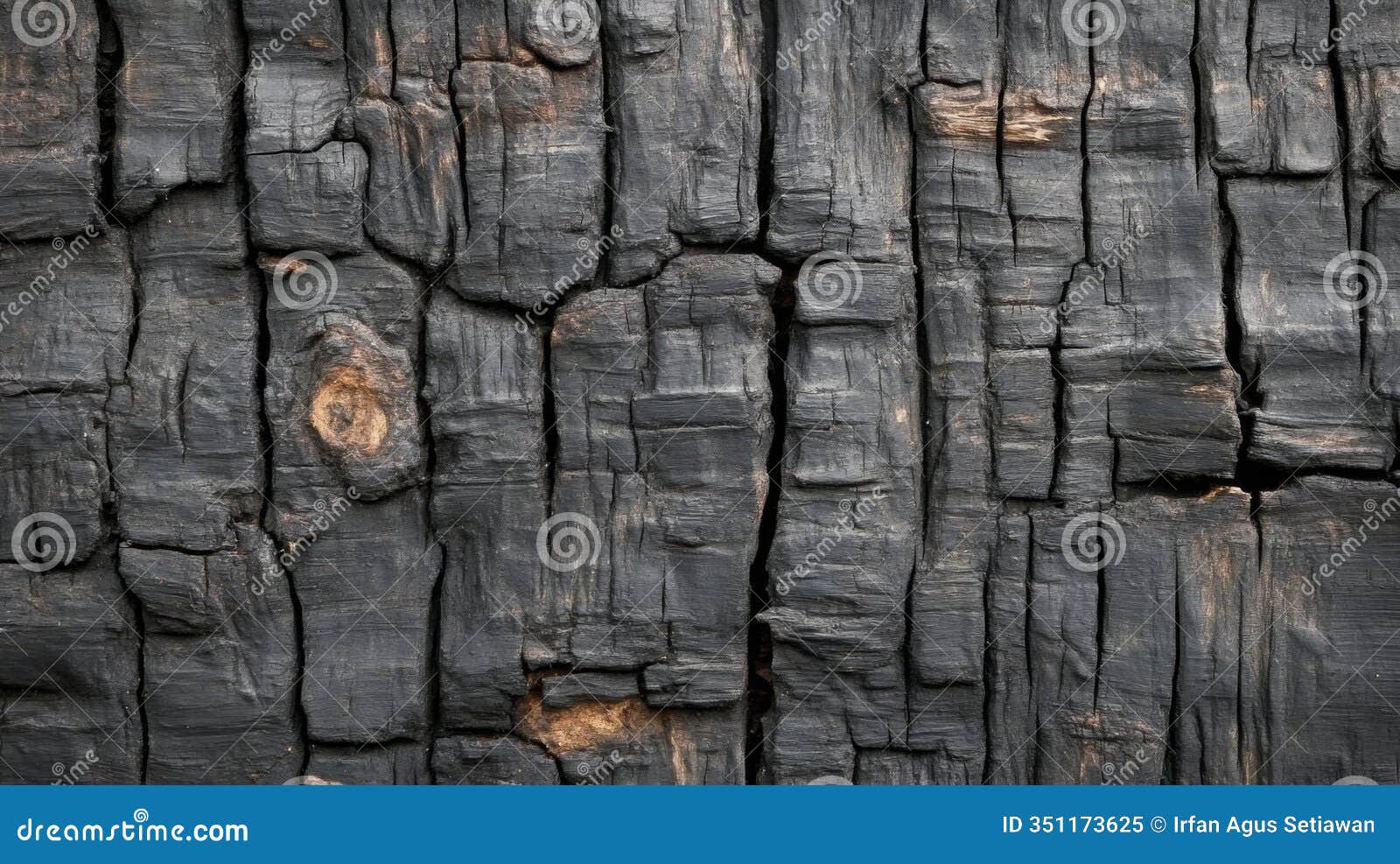 Charred Wood Texture Dark Cracked Surface Stock Illustration ...