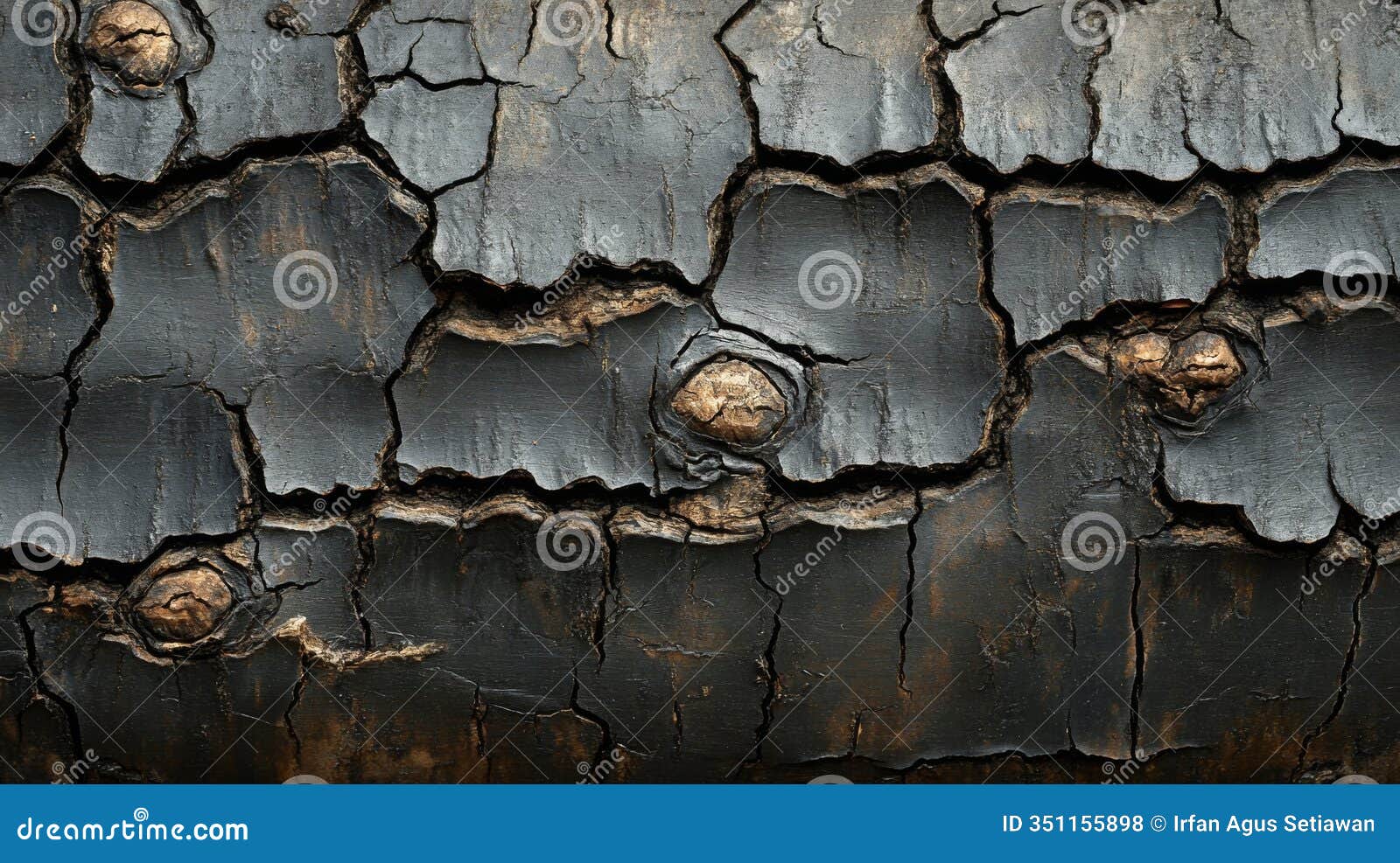 Charred Wood Texture with Knots and Cracks Stock Illustration ...