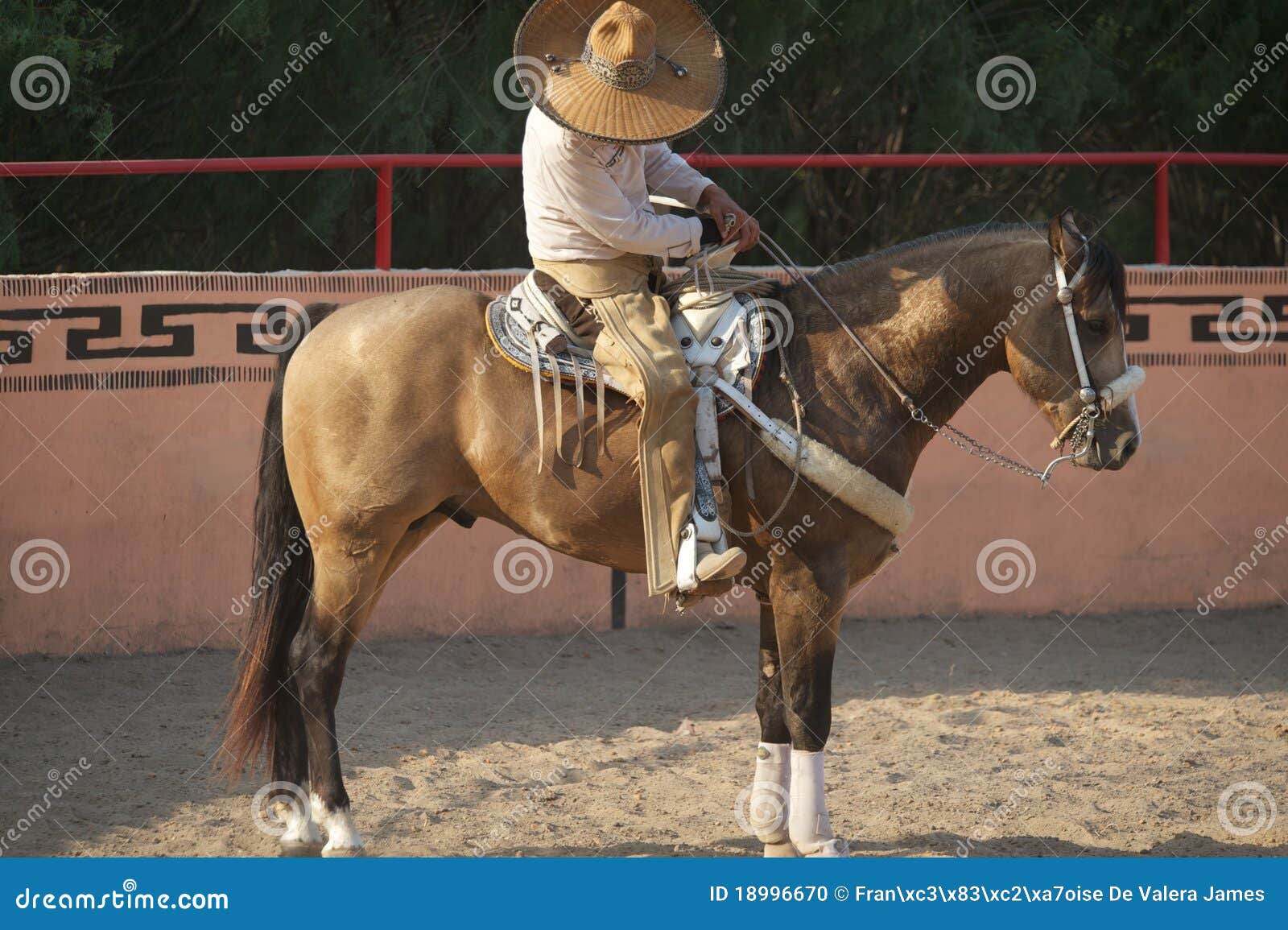 Charros Mexican Horeseman, TX, US Stock Photo - Image of horseback ...