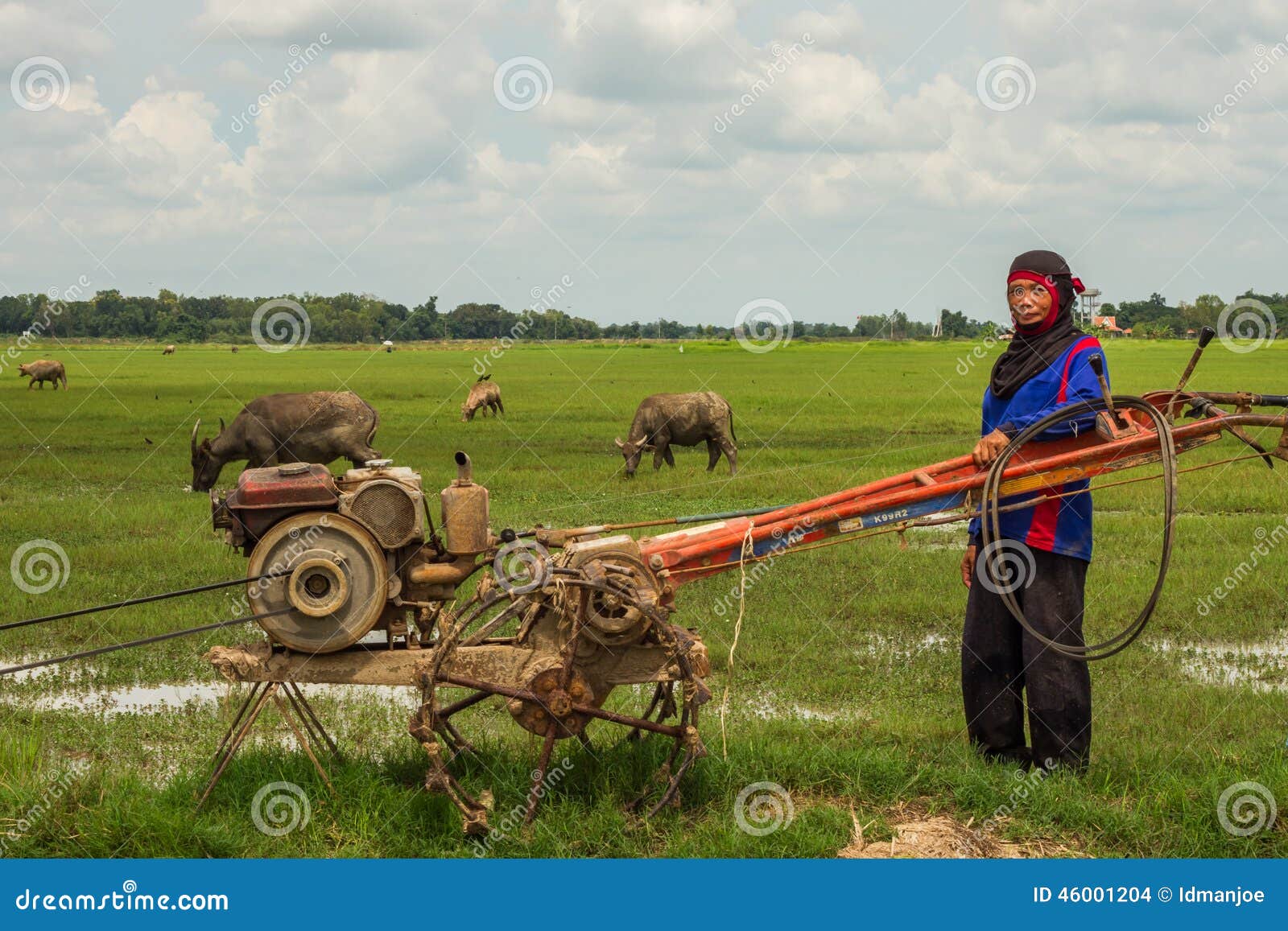 Charrue de roue photo stock. Image of buffle, agriculture - 46001204