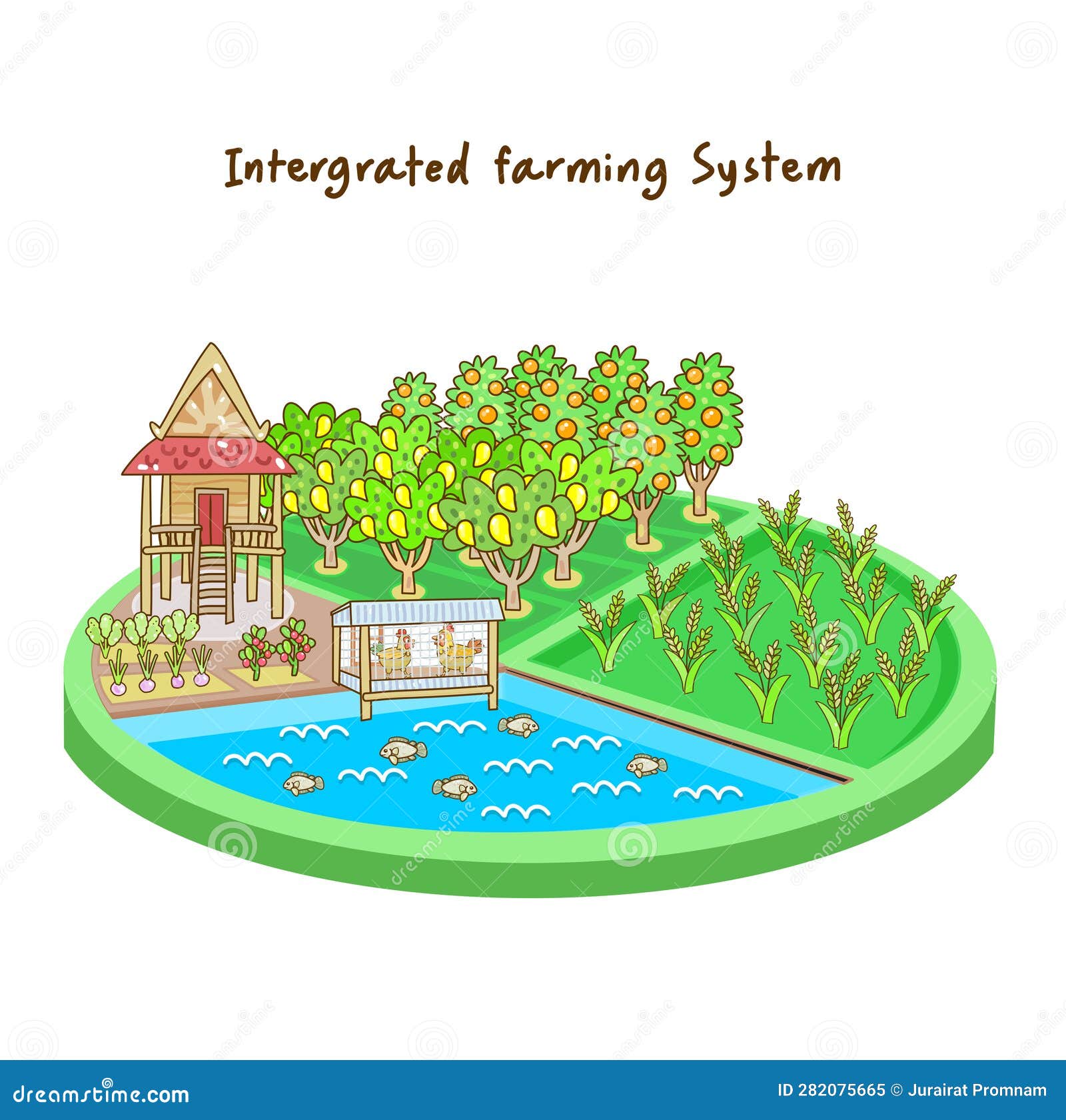 Chart for Integrated Farming System. Stock Illustration - Illustration ...