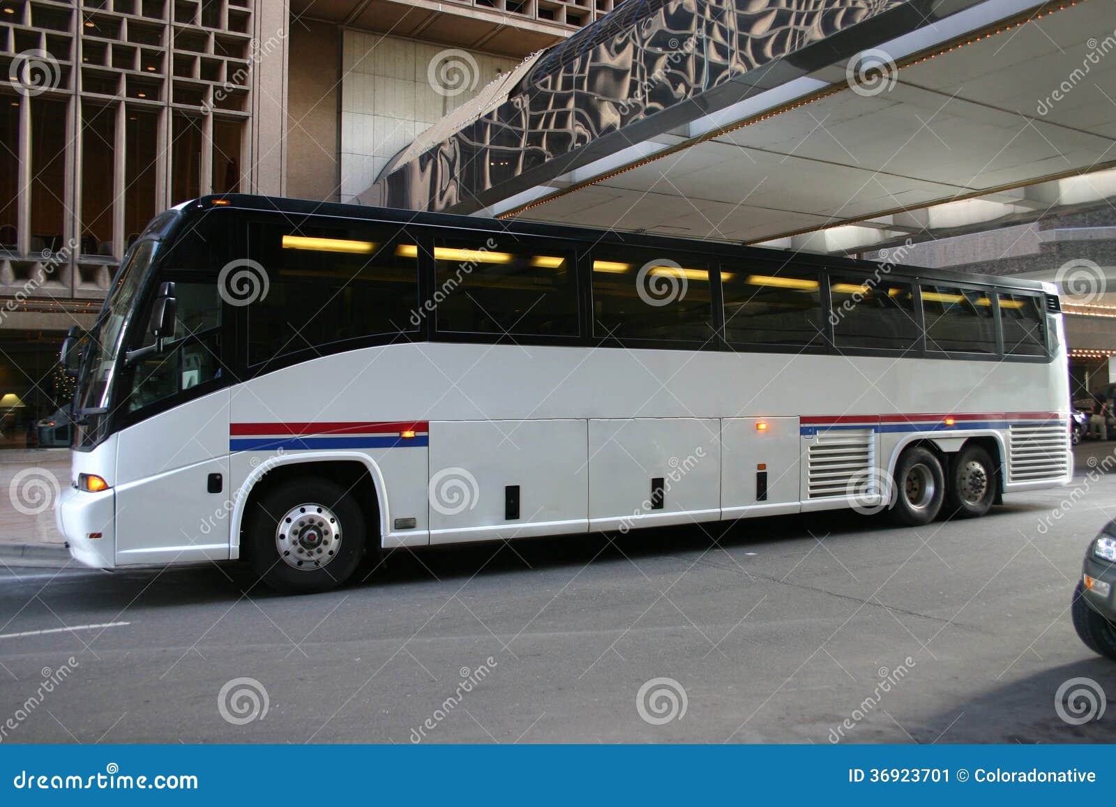 Charter Bus stock image. Image of motor, luxury, megabus - 36923701