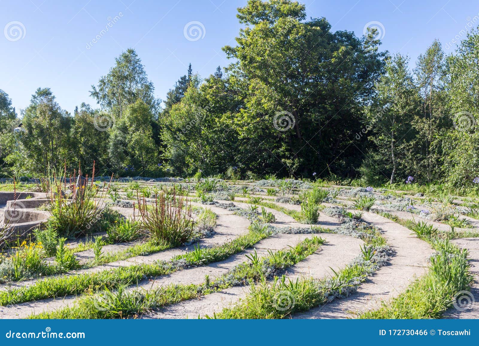 Chartres Styled Labyrinth at Beautiful Hogsback at the Edge Editorial ...