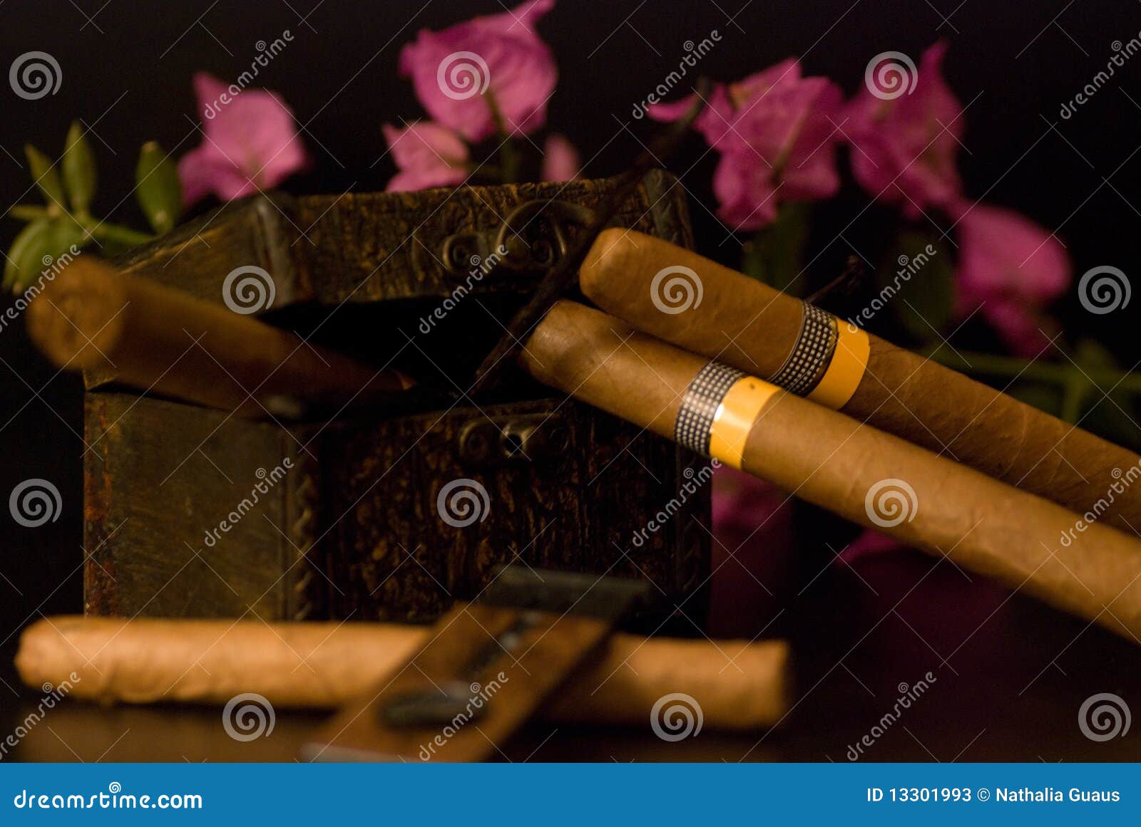 Charuto cubano imagem de stock. Imagem de fumo, cubano - 13301993