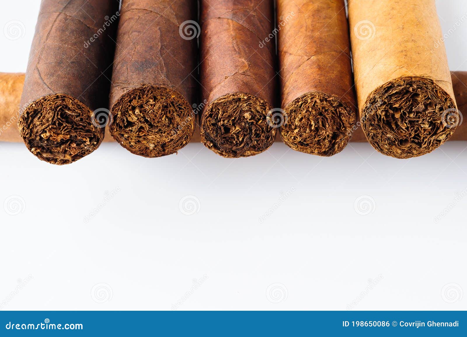 Charuto em fundo branco foto de stock. Imagem de branco - 198650086