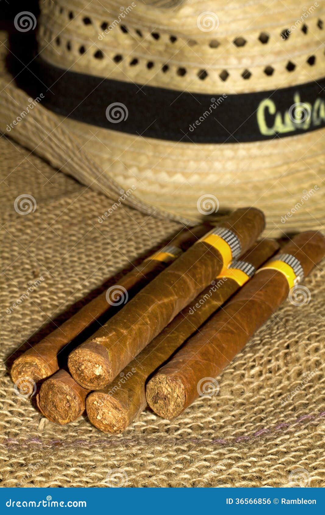 Charutos Cubanos Preto E Branco Foto de Stock - Imagem de chapéu ...