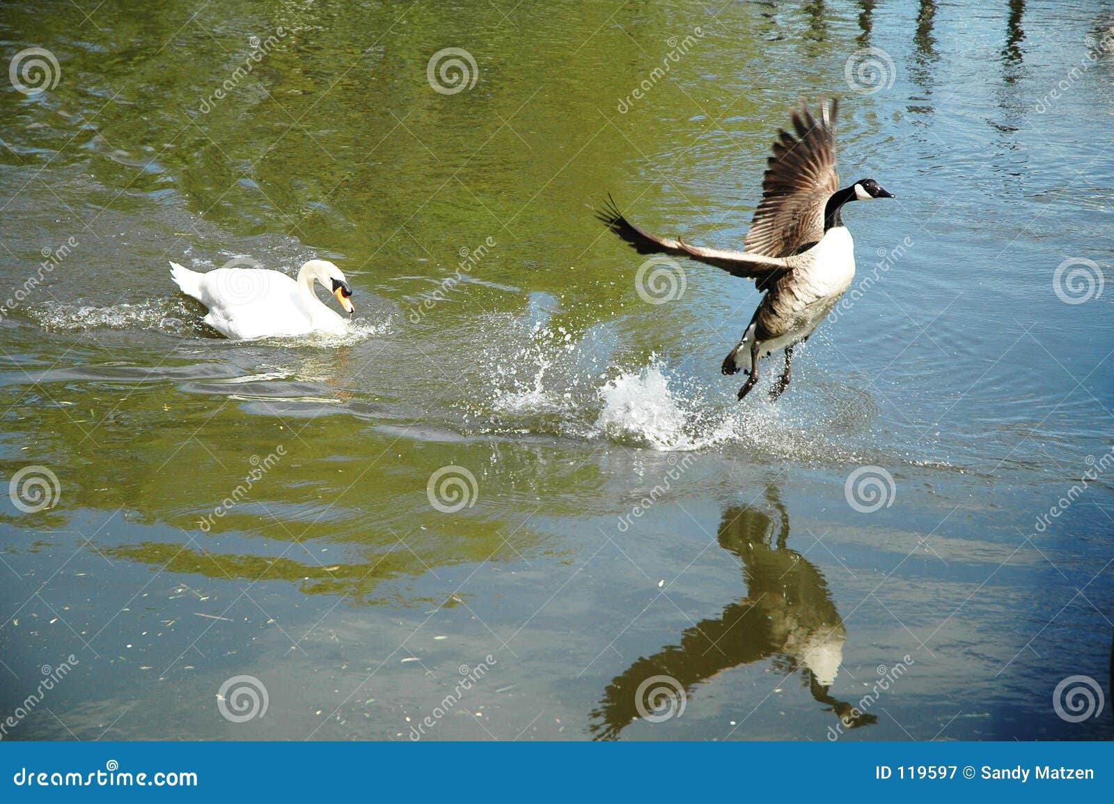 The chase stock image. Image of motion, reflection, chase - 119597