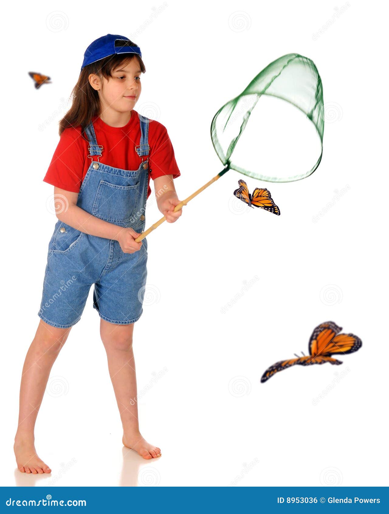 Chasing Butterflies stock photo. Image of young, butterflies - 8953036