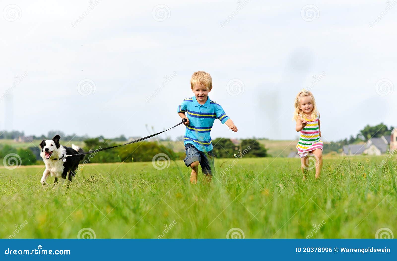 Chasing My Brother and the Dog in the Field Stock Photo - Image of ...