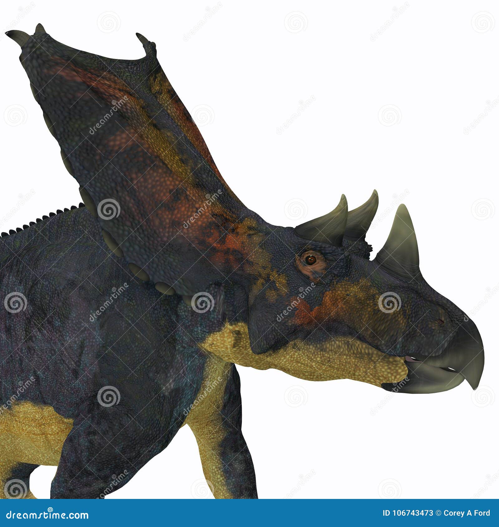 Chasmosaurus Dinosaur With Young Stock Photography | CartoonDealer.com ...