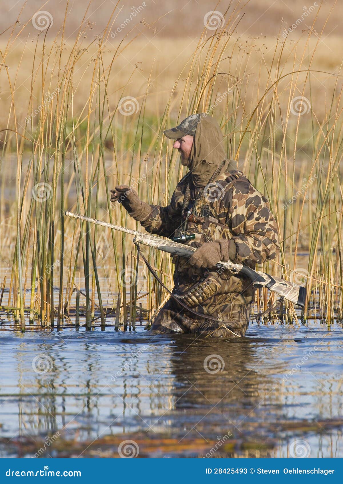 Chasse de canard image stock. Image du prairies, automne - 28425493