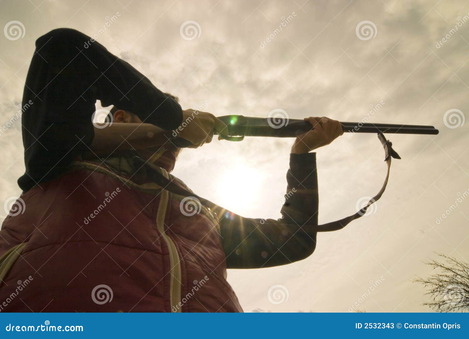 Chasseur image stock. Image du lumineux, canon, chasse - 2532343