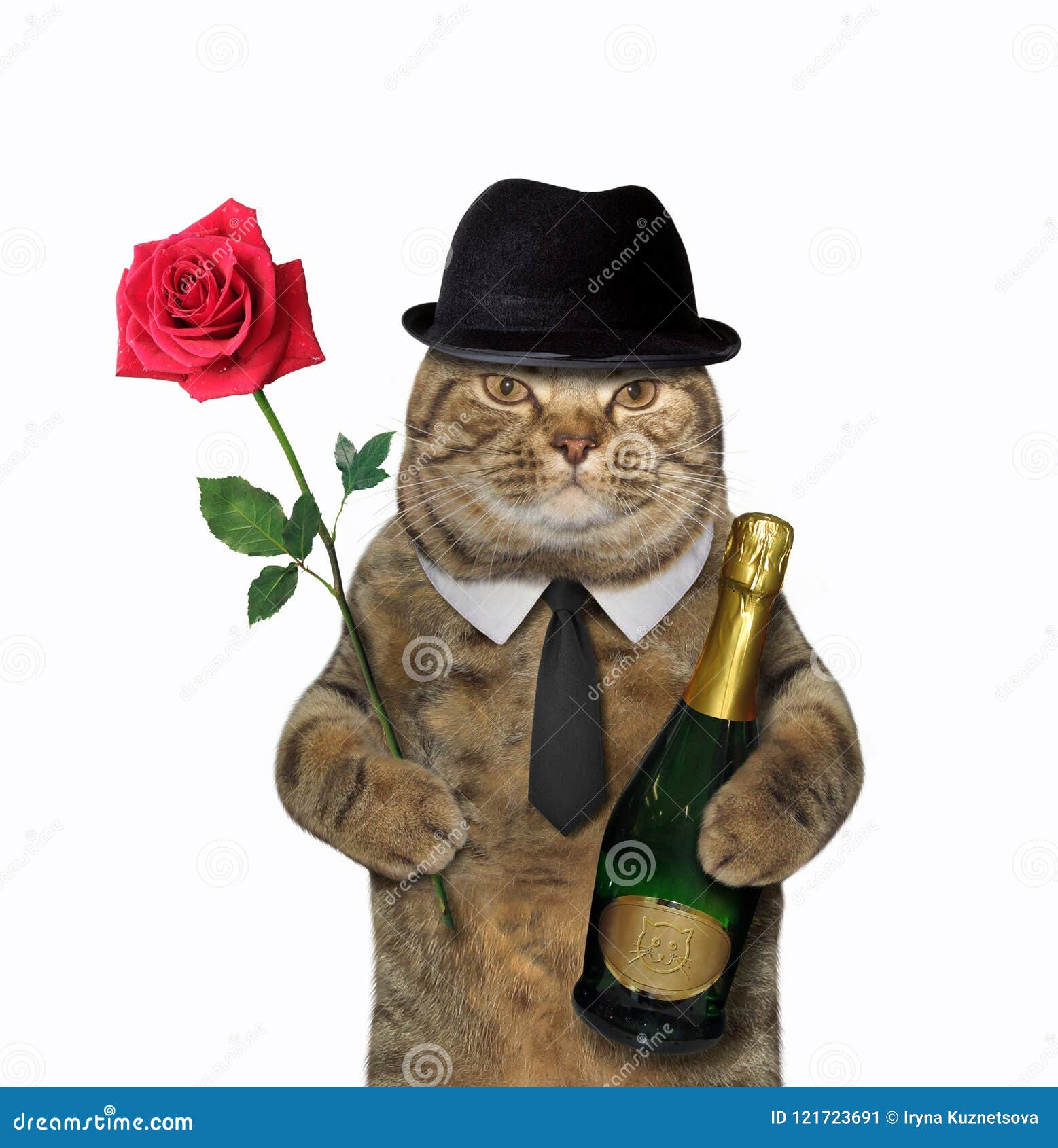 Chat Avec Du Vin Et Une Rose Image stock - Image du vacances, humeur ...