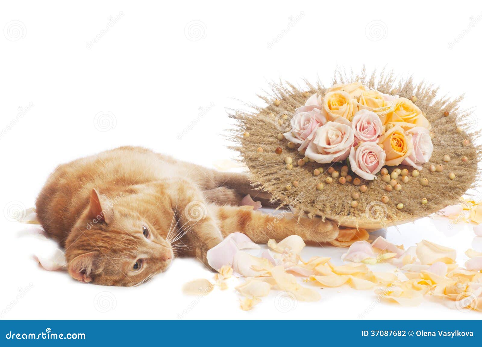 Chat Avec Le Bouquet De Fleur Photo stock - Image du rose, mignon: 37087682