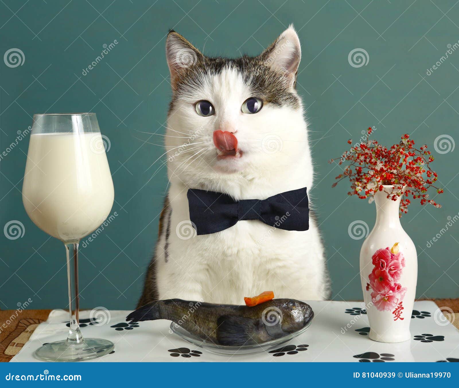 Chat Dans Le Restaurant Avec Du Lait Et Le Poisson Cru Image stock ...