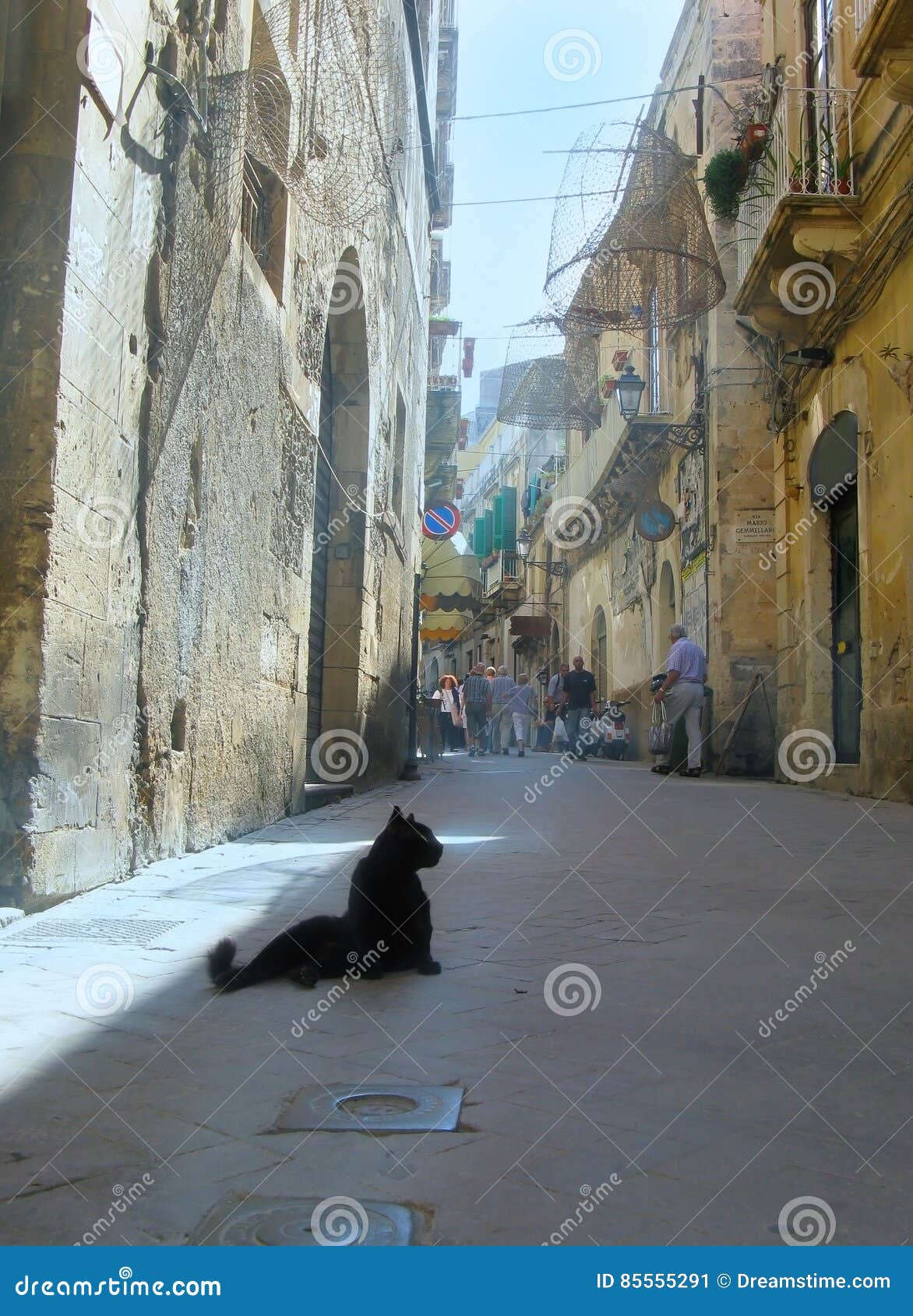 Chat Mignon Dans La Vieille Rue Photo éditorial - Image du bloc ...