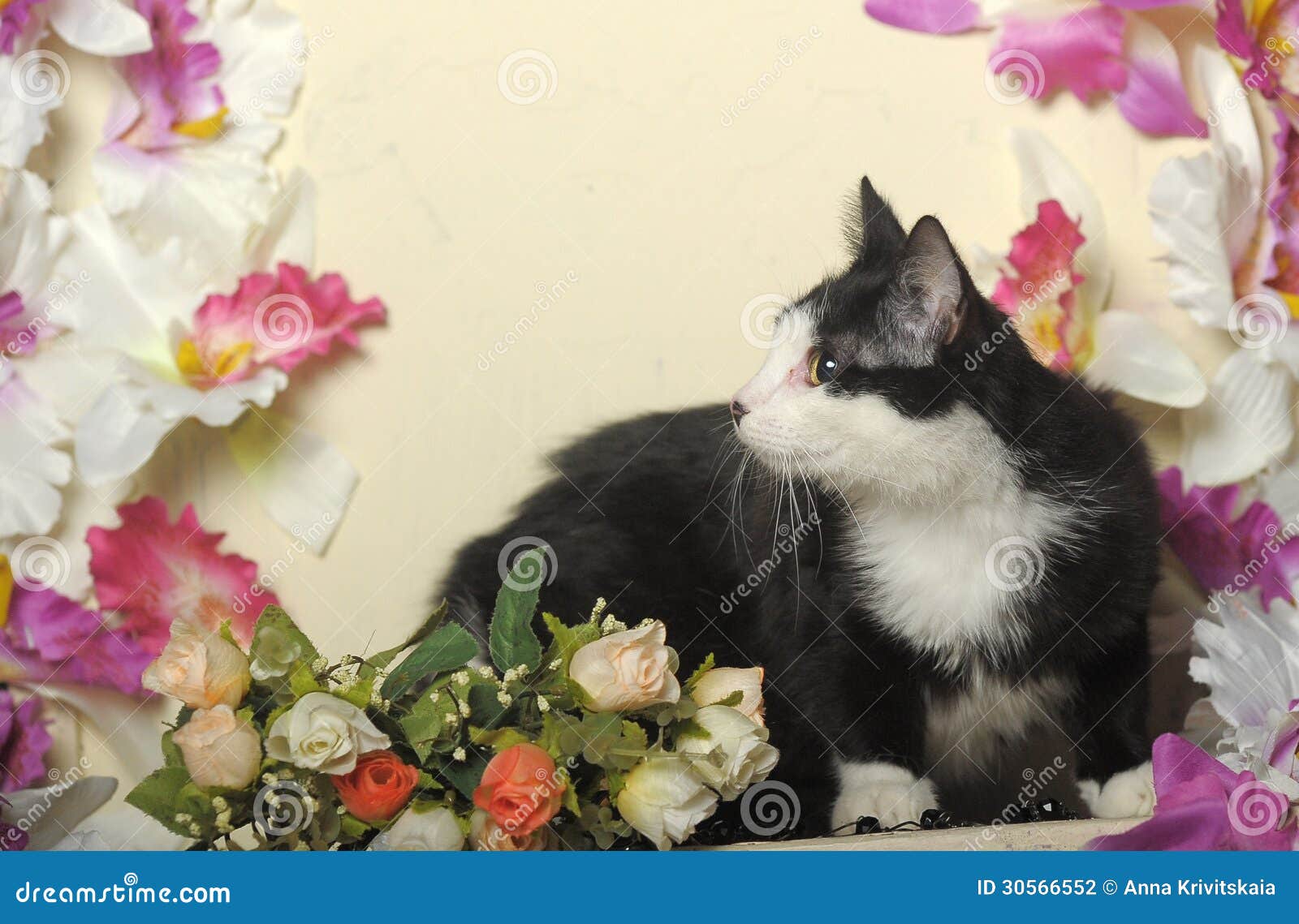 Chat parmi les fleurs photo stock. Image of yeux, lumineux - 30566552