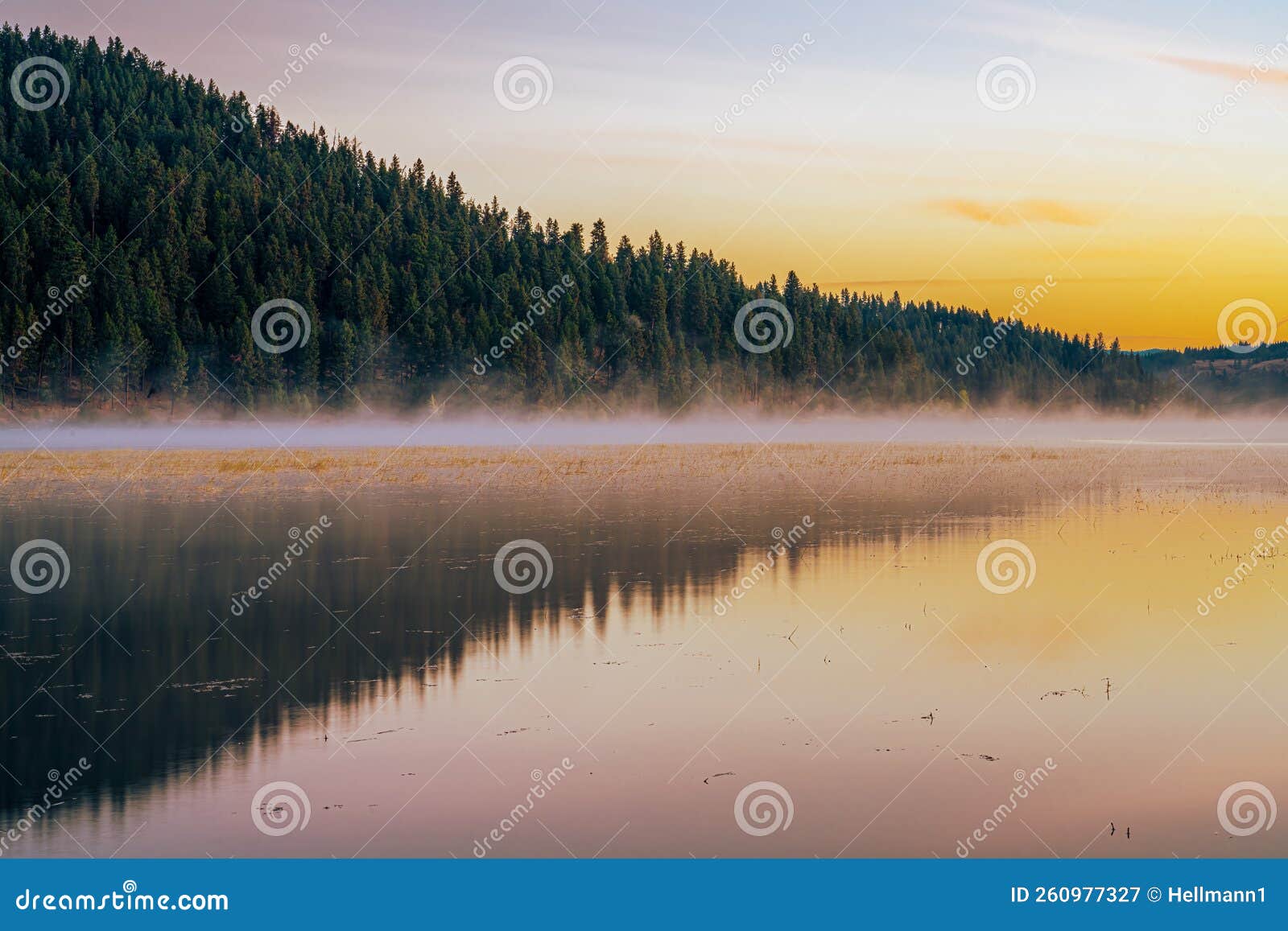 Chatcolet Lake stock image. Image of view, scenery, scenic - 260977327