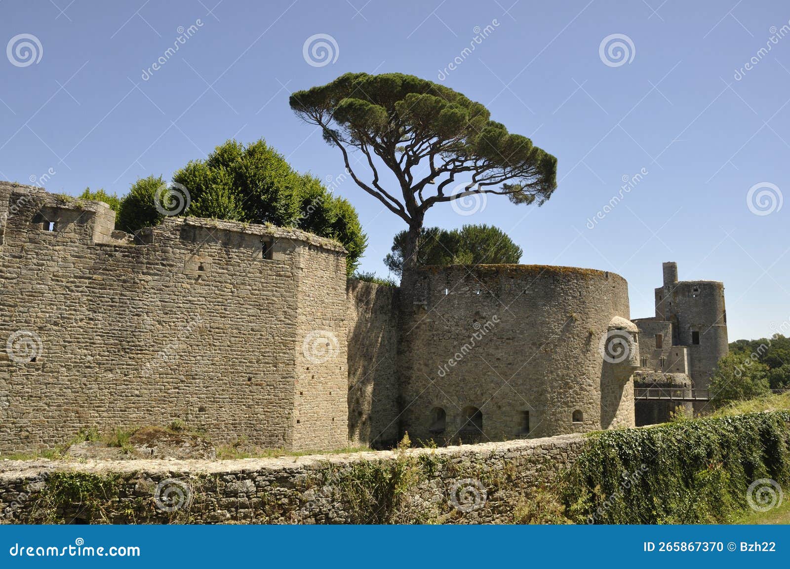 Chateau De Clisson in France Stock Photo - Image of monument, tour ...