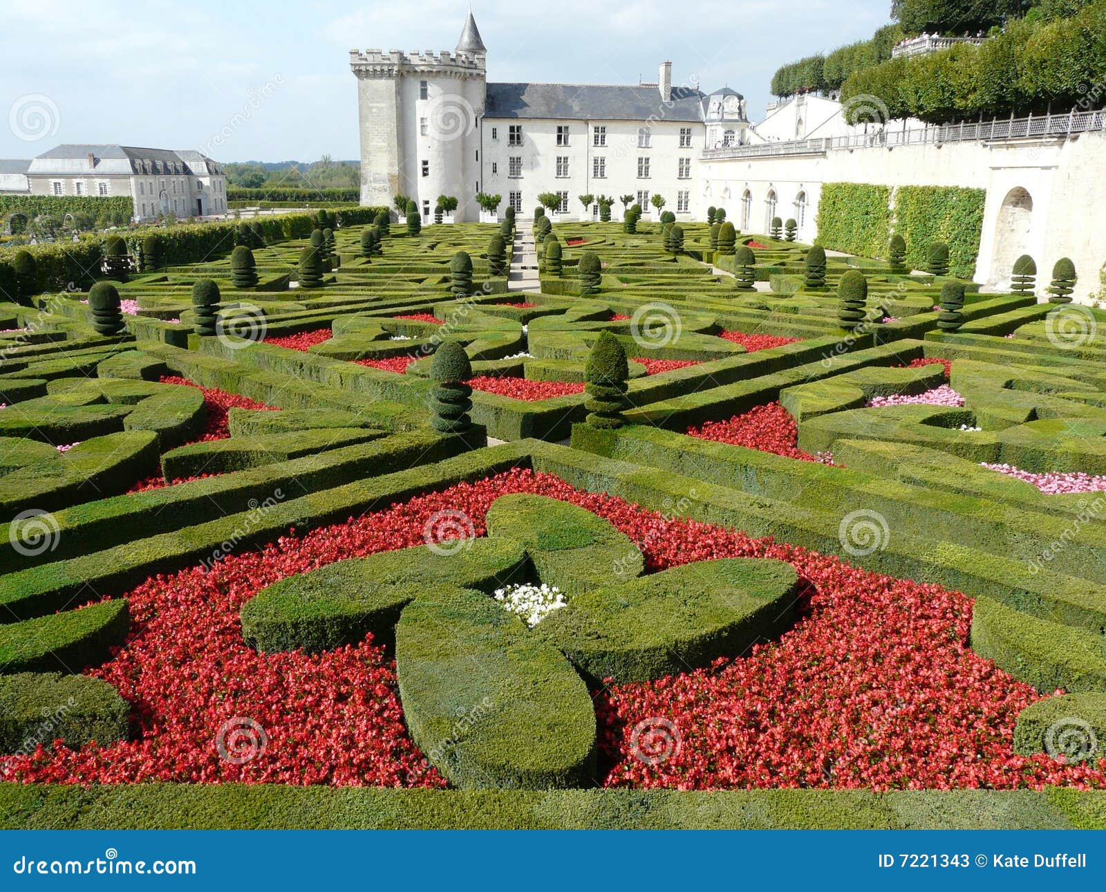 Chateau De Villandry Gardens Stock Image - Image of peaceful, flora ...