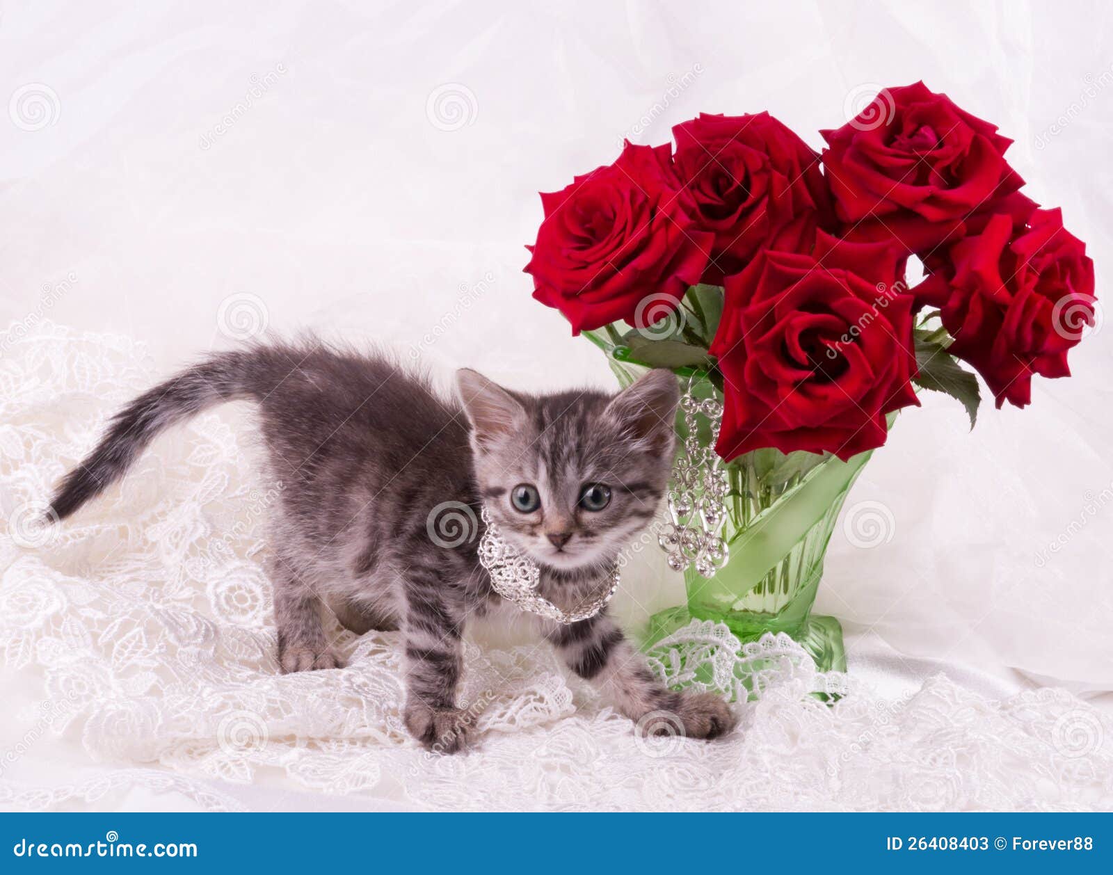 Chaton Avec Les Roses Rouges Image stock - Image du félin, décoratif ...