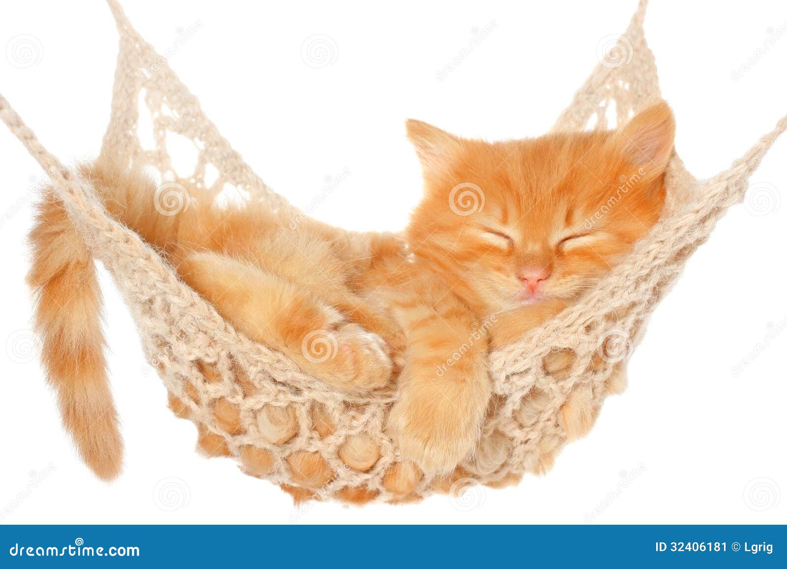 Chaton D'une Chevelure Rouge Mignon Dormant Dans L'hamac Image stock ...
