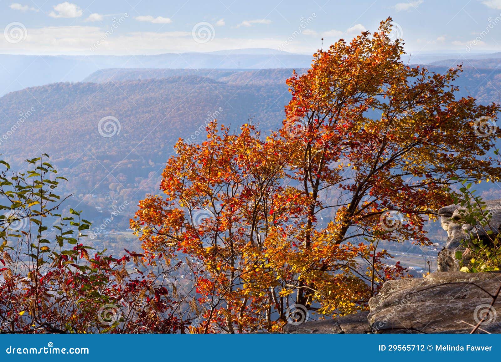 Chattanooga in Autumn stock photo. Image of afternoon - 29565712