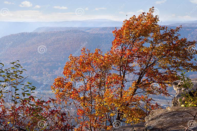 Chattanooga in Autumn stock photo. Image of afternoon - 29565712
