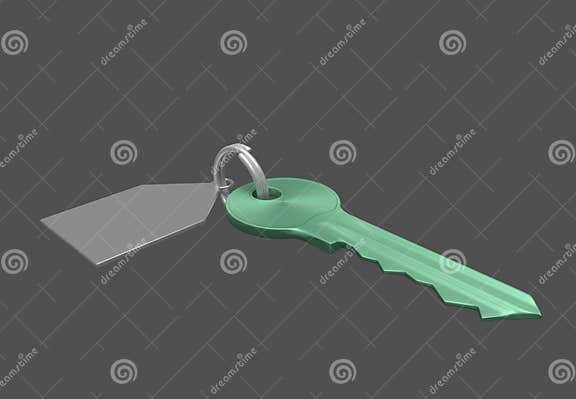 Chave Verde E Trinket Com Anel De Prata Ilustração Stock - Ilustração ...