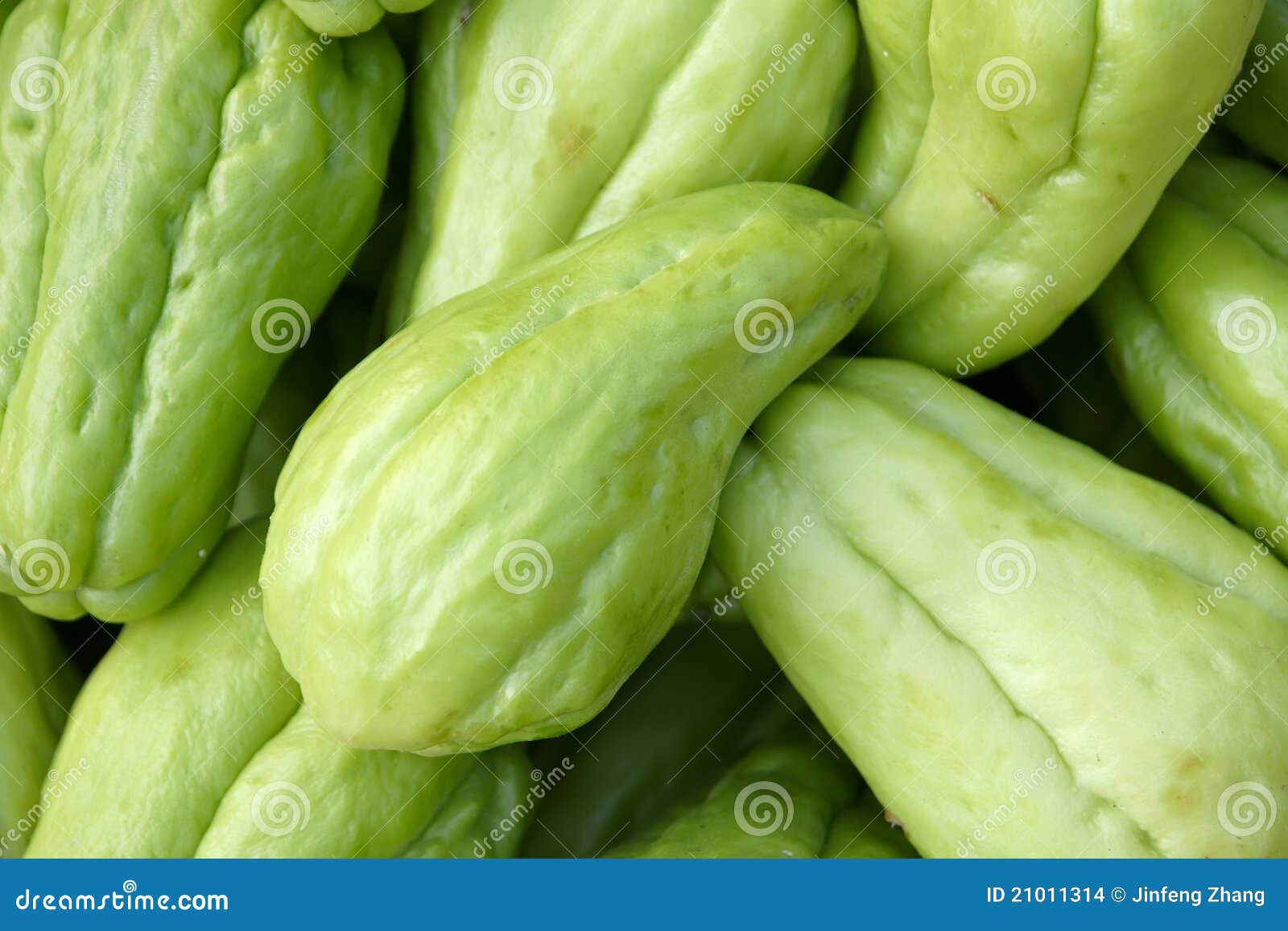 Chayote stock photo. Image of fruitery, unsalted, closeup - 21011314