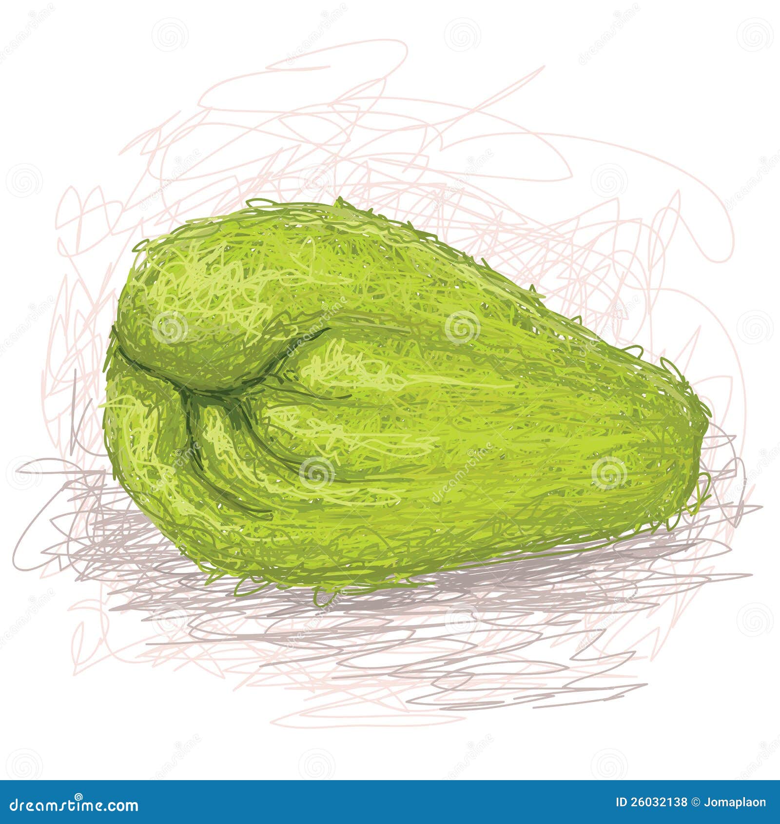 Chayote stock vector. Illustration of ingredient, delicious - 26032138