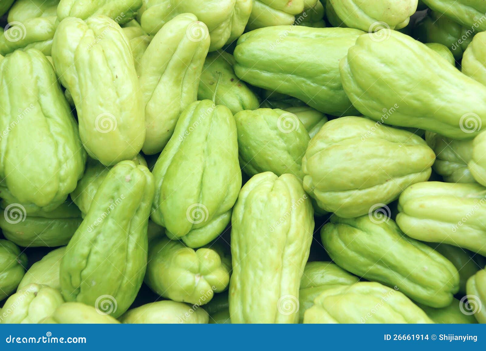 Chayote photo stock. Image du mangeable, vert, produit - 26661914