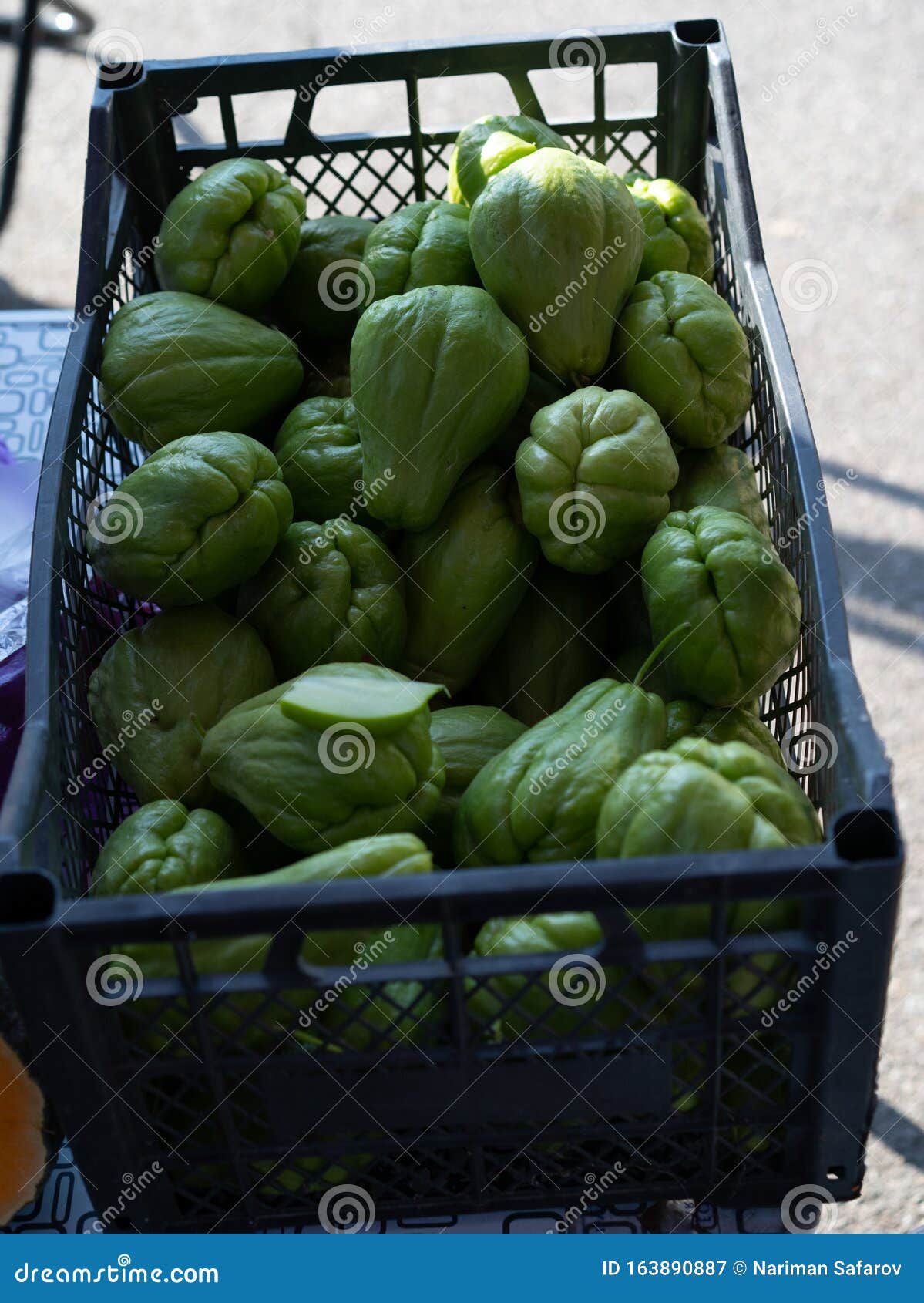 Chayote in a box for sale stock image. Image of chayote - 163890887