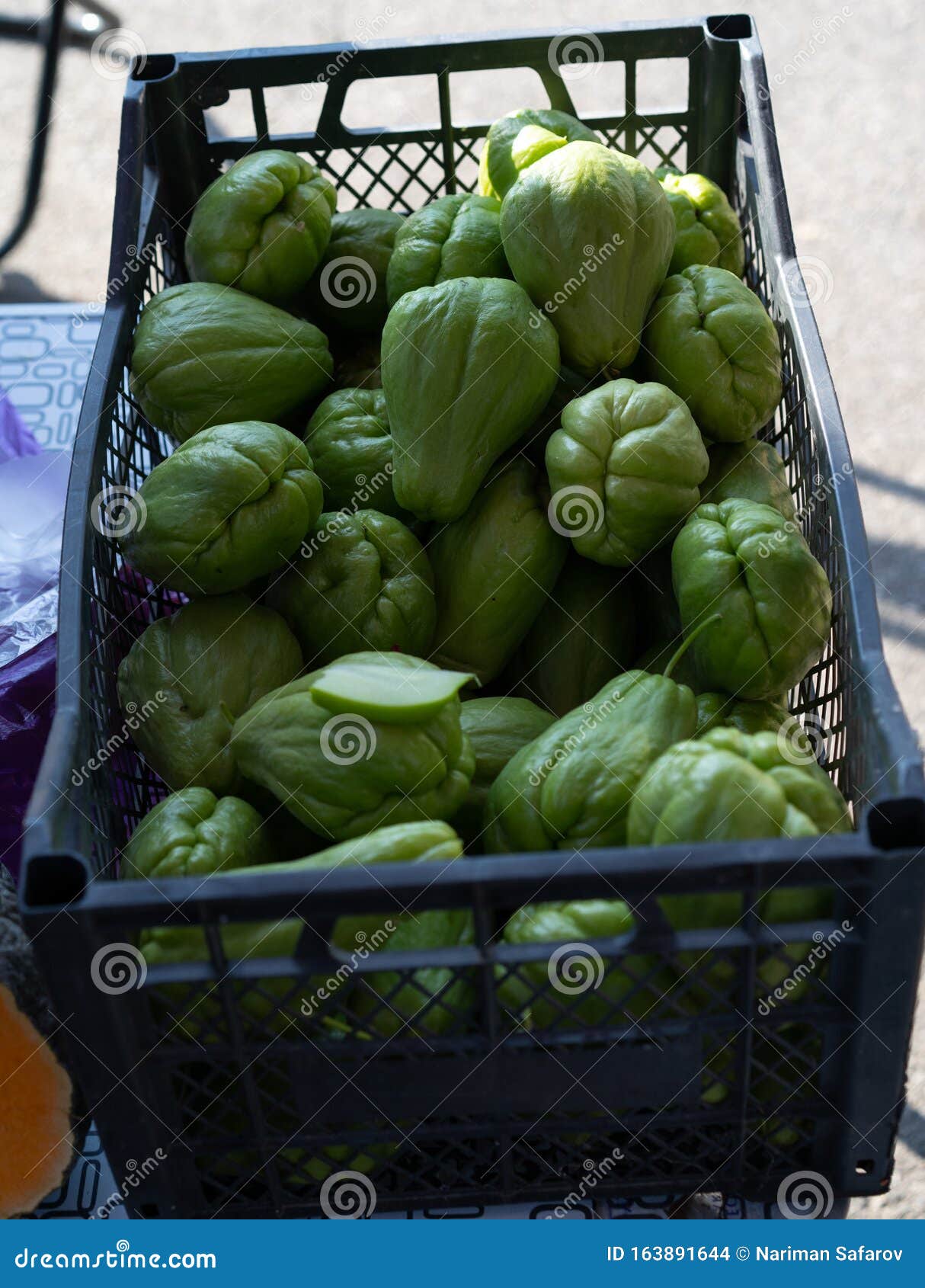 Chayote in a box for sale stock photo. Image of mirliton - 163891644