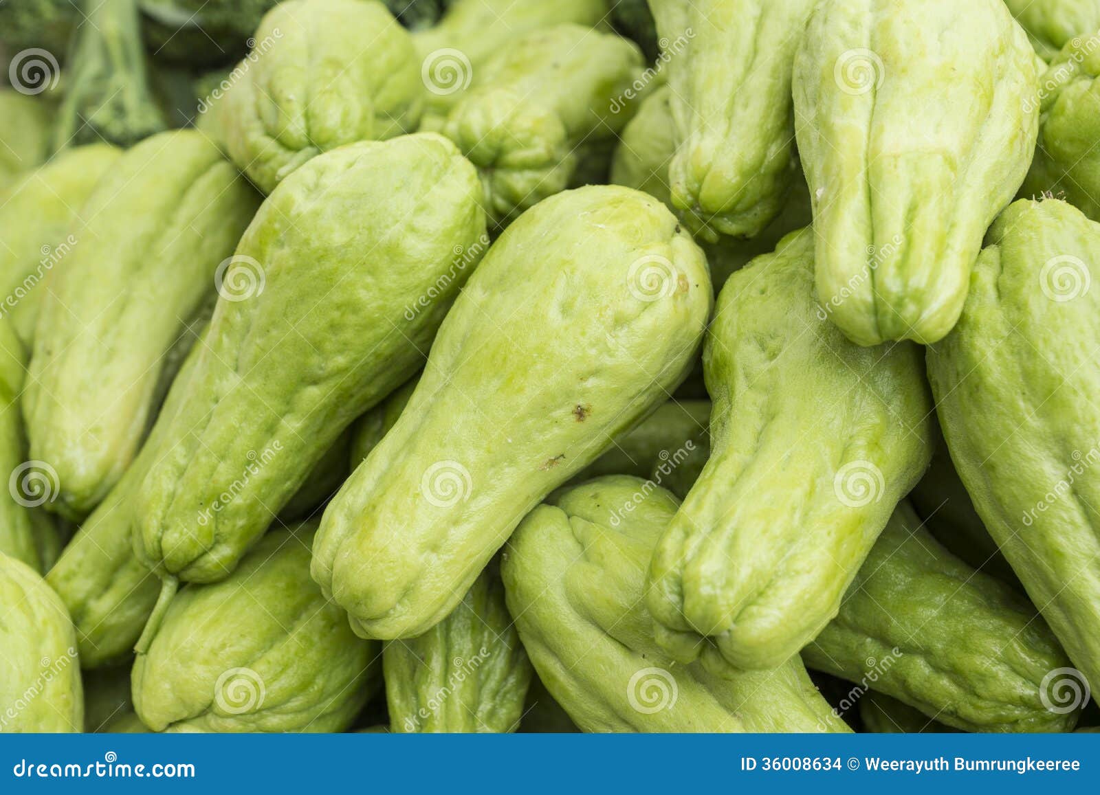 Stack Chayote Squash, Also Known As Christophine, Pear-squash ...