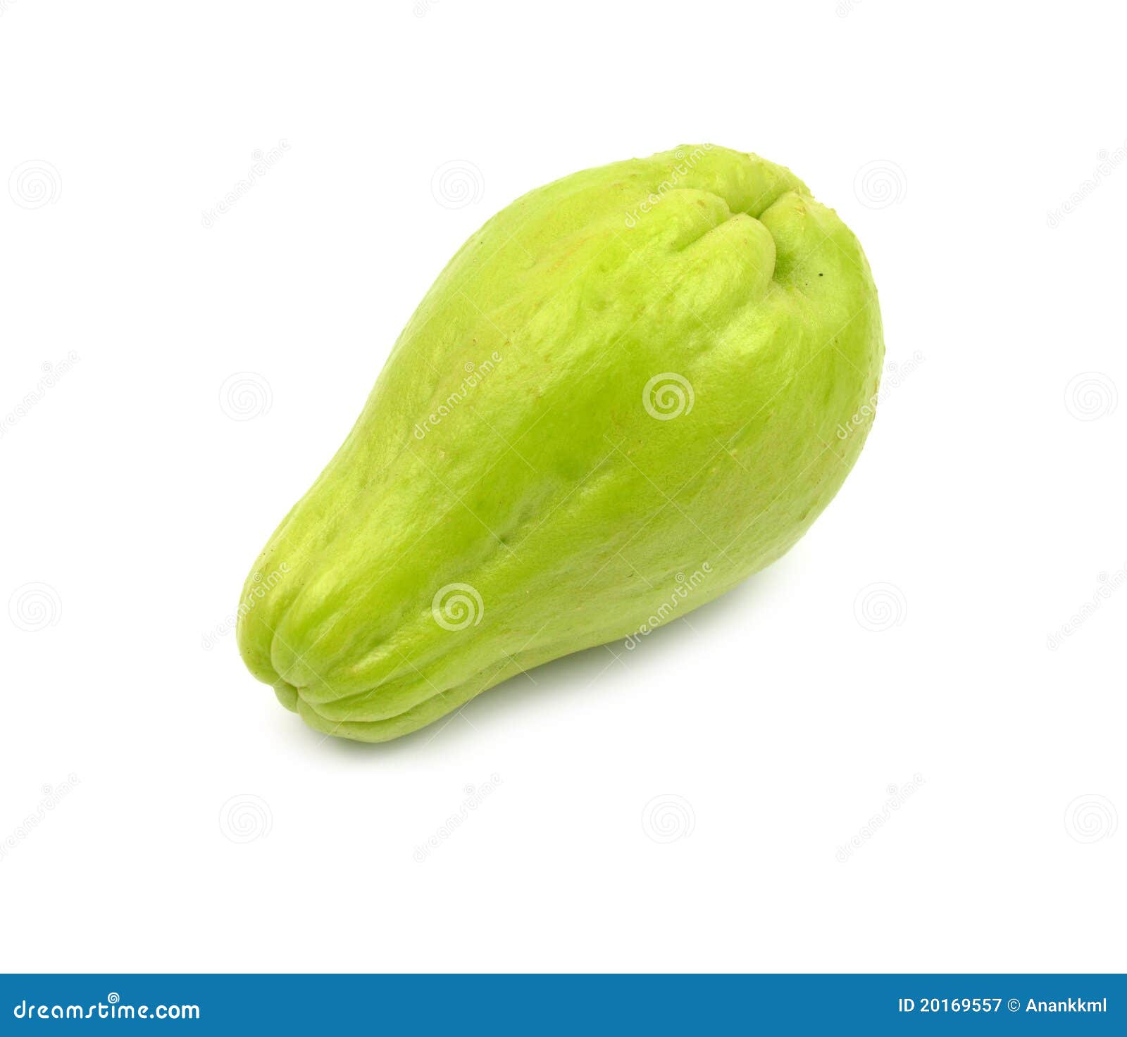 Chayote, edule de Sechium imagen de archivo. Imagen de fresco - 20169557