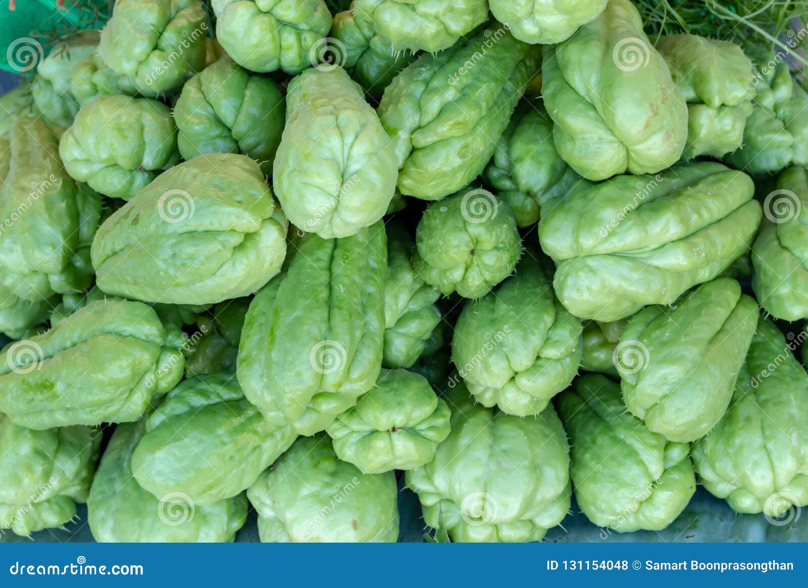 Chayote Fresh from the Garden. Stock Photo - Image of field, fruit ...