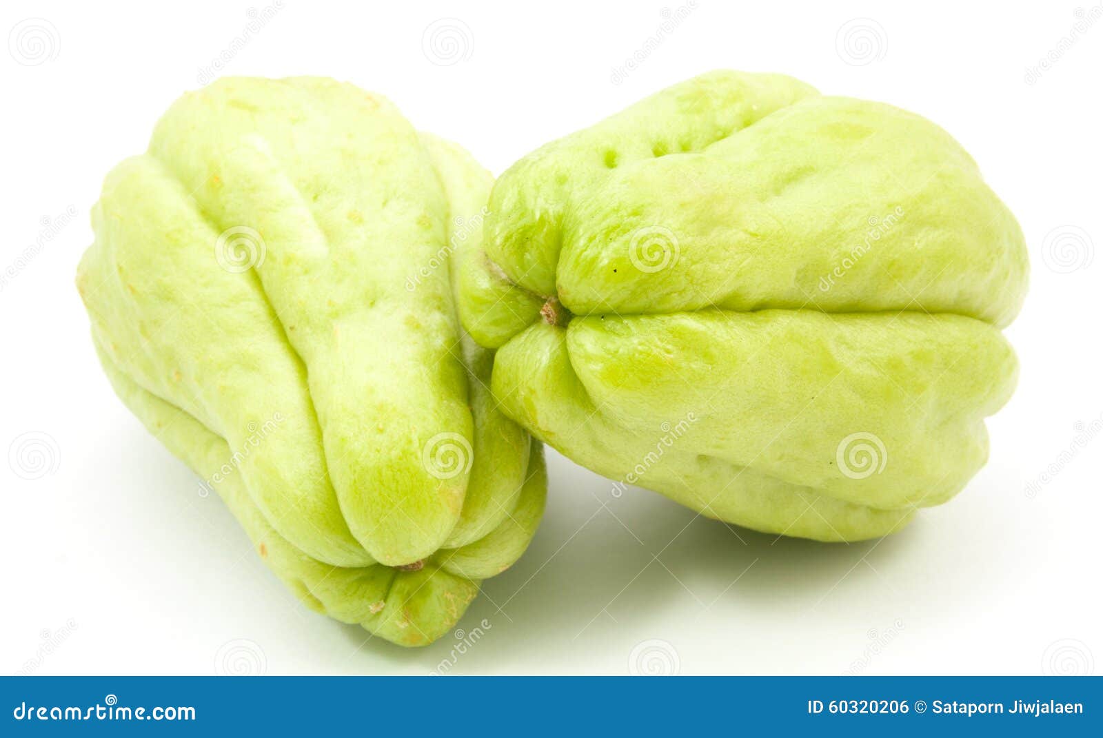 5 Chokoes Photos - Free & Royalty-Free Stock Photos from Dreamstime