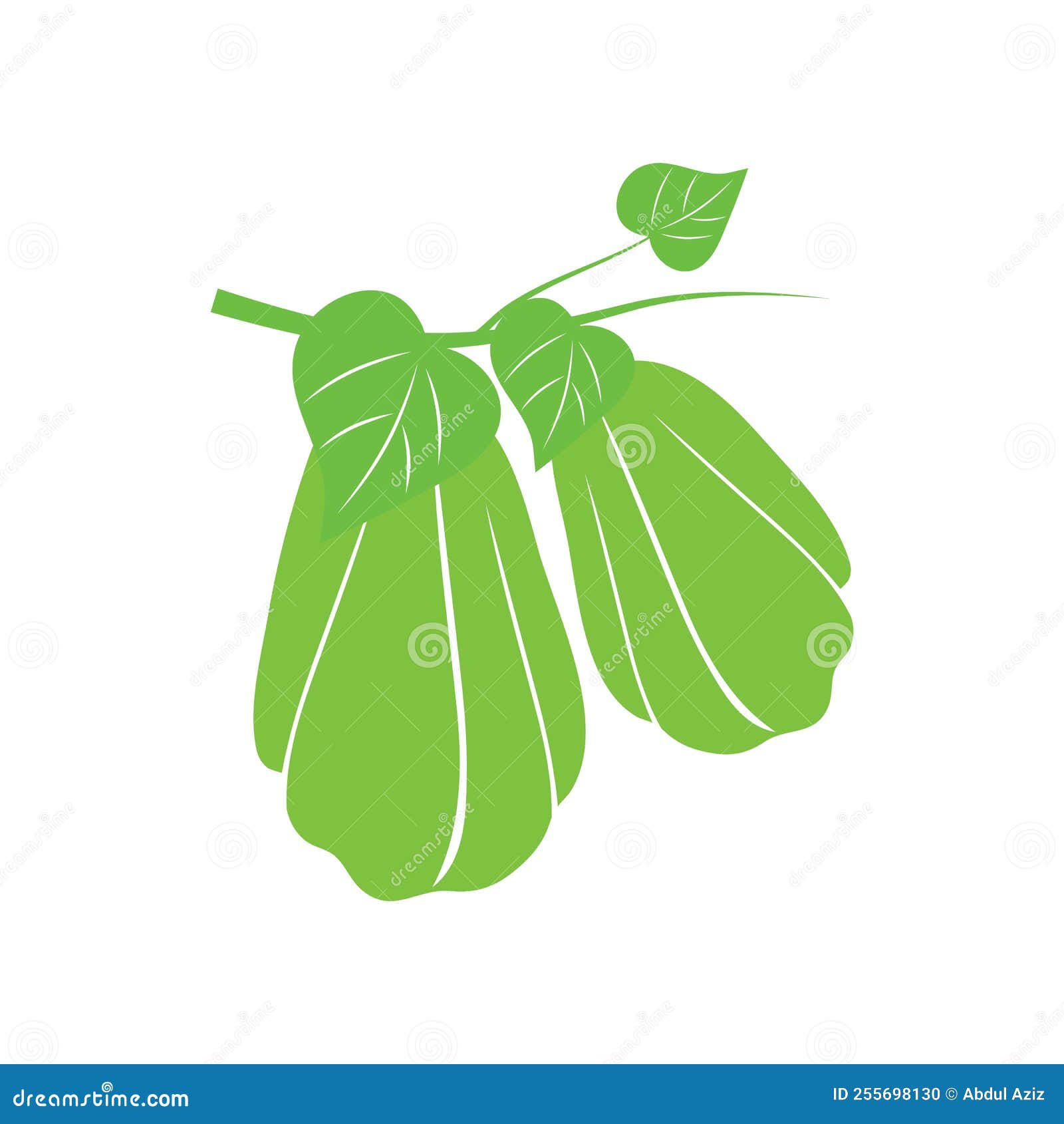 Chayote Logo Template Vector Stock Vector - Illustration of growth ...